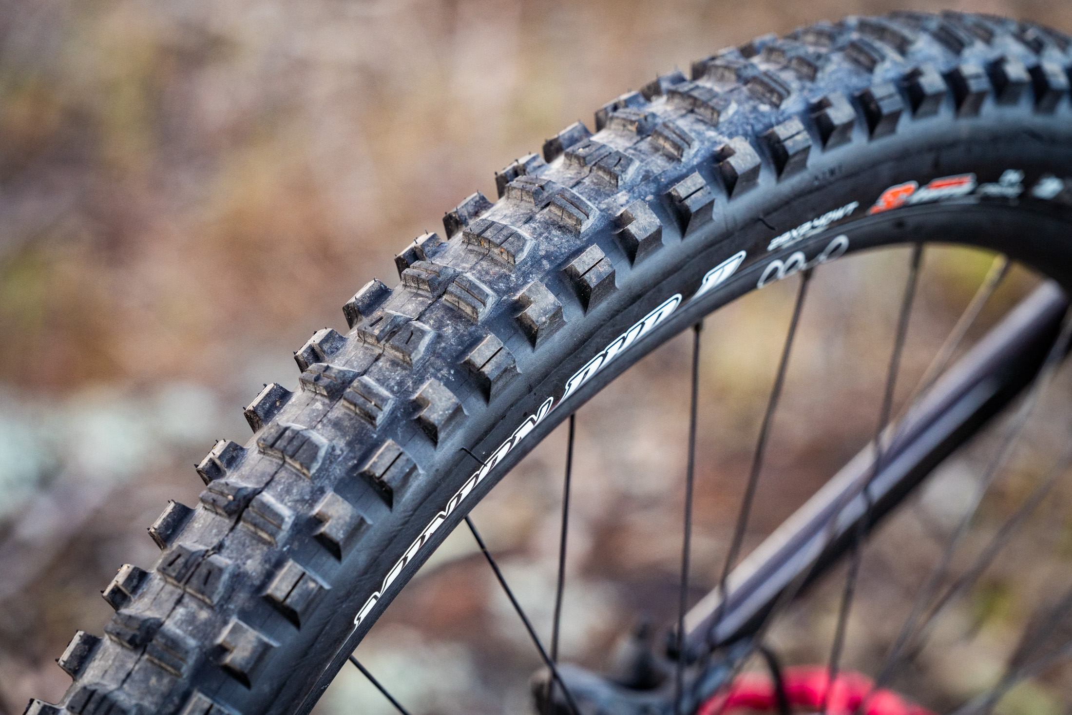 Fresh Produce | Maxxis Assegai, Minion DHR II & Forekaster E-50 Tyres