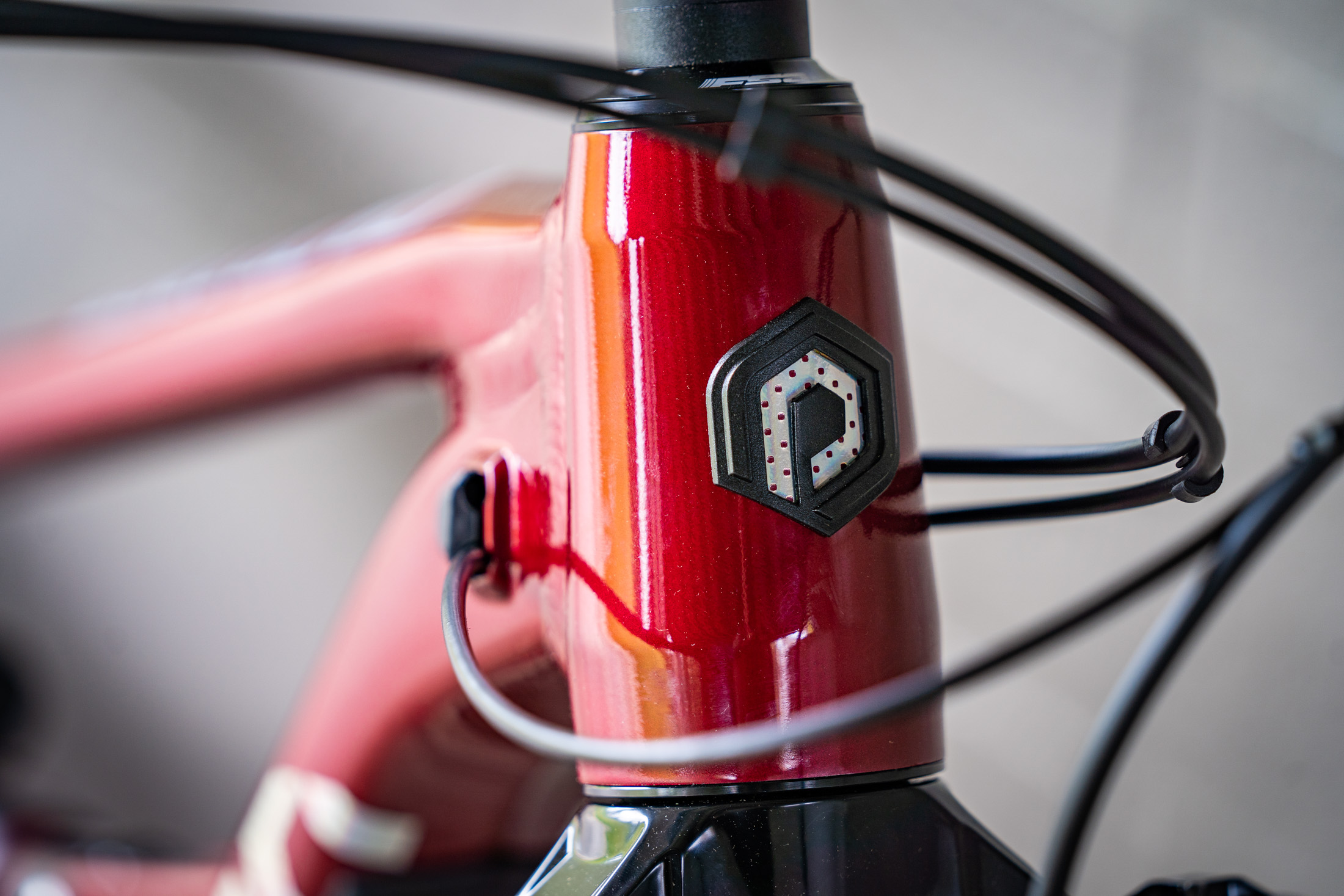 2024 Polygon Collosus N7 Review | A cheap & capable enduro bike