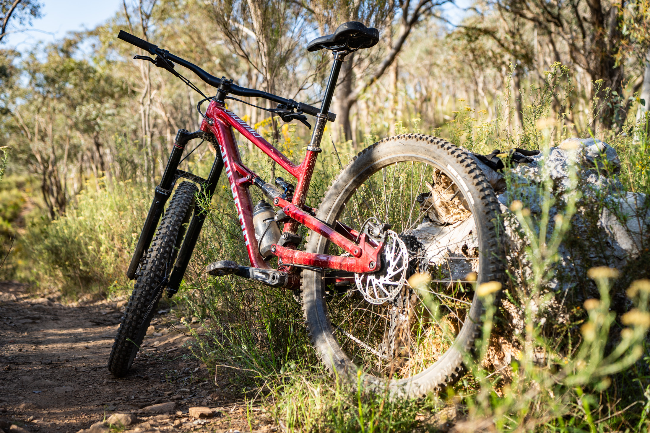 2024 Polygon Collosus N7 Review | A cheap & capable enduro bike