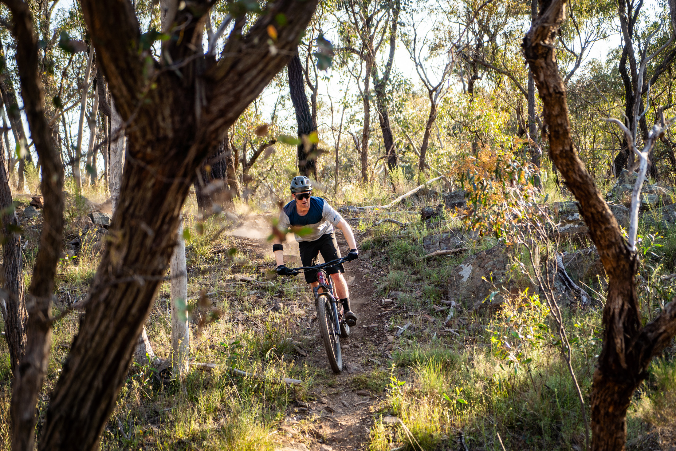 2024 Polygon Collosus N7 Review | A cheap & capable enduro bike