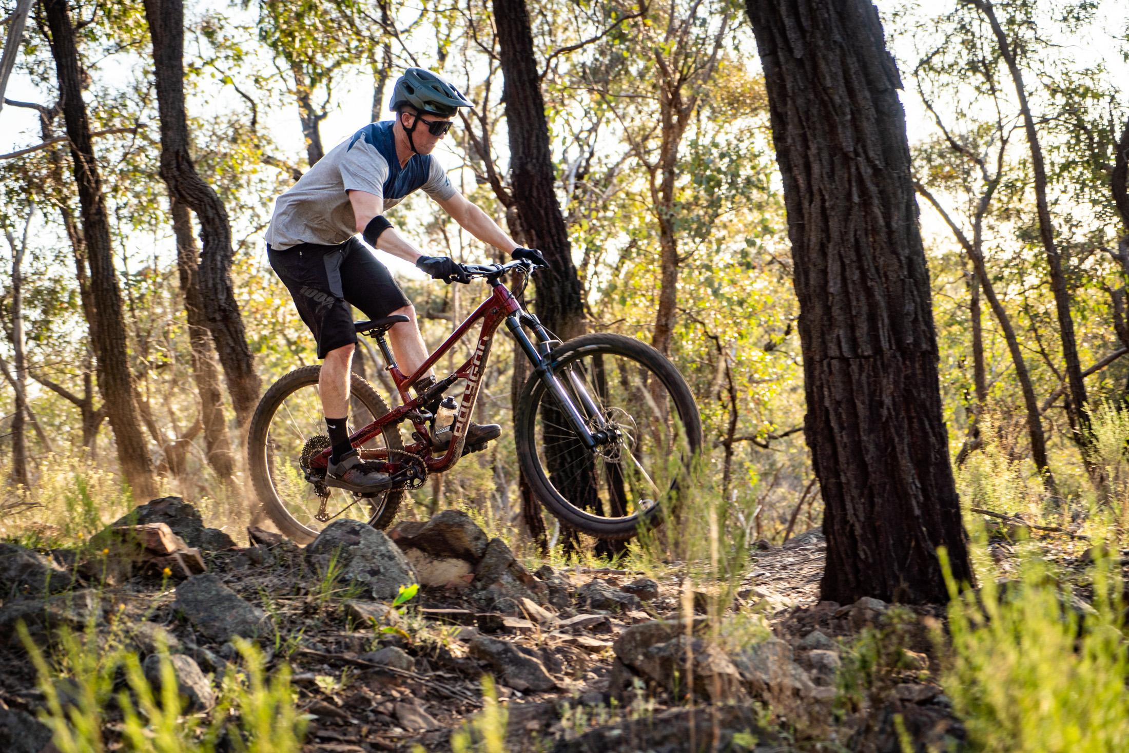 2024 Polygon Collosus N7 Review | A cheap & capable enduro bike