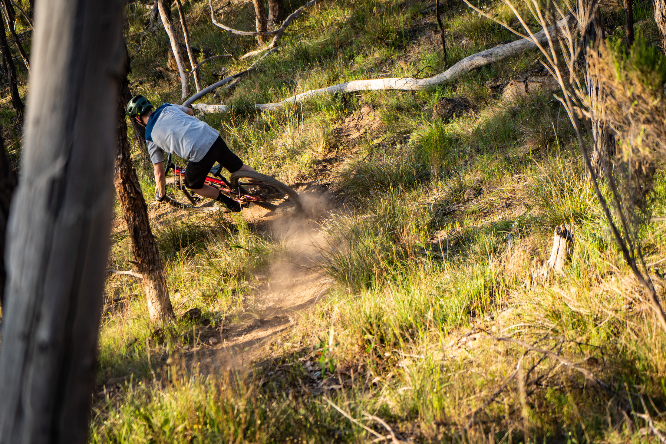 2024 Polygon Collosus N7 Review | A cheap & capable enduro bike