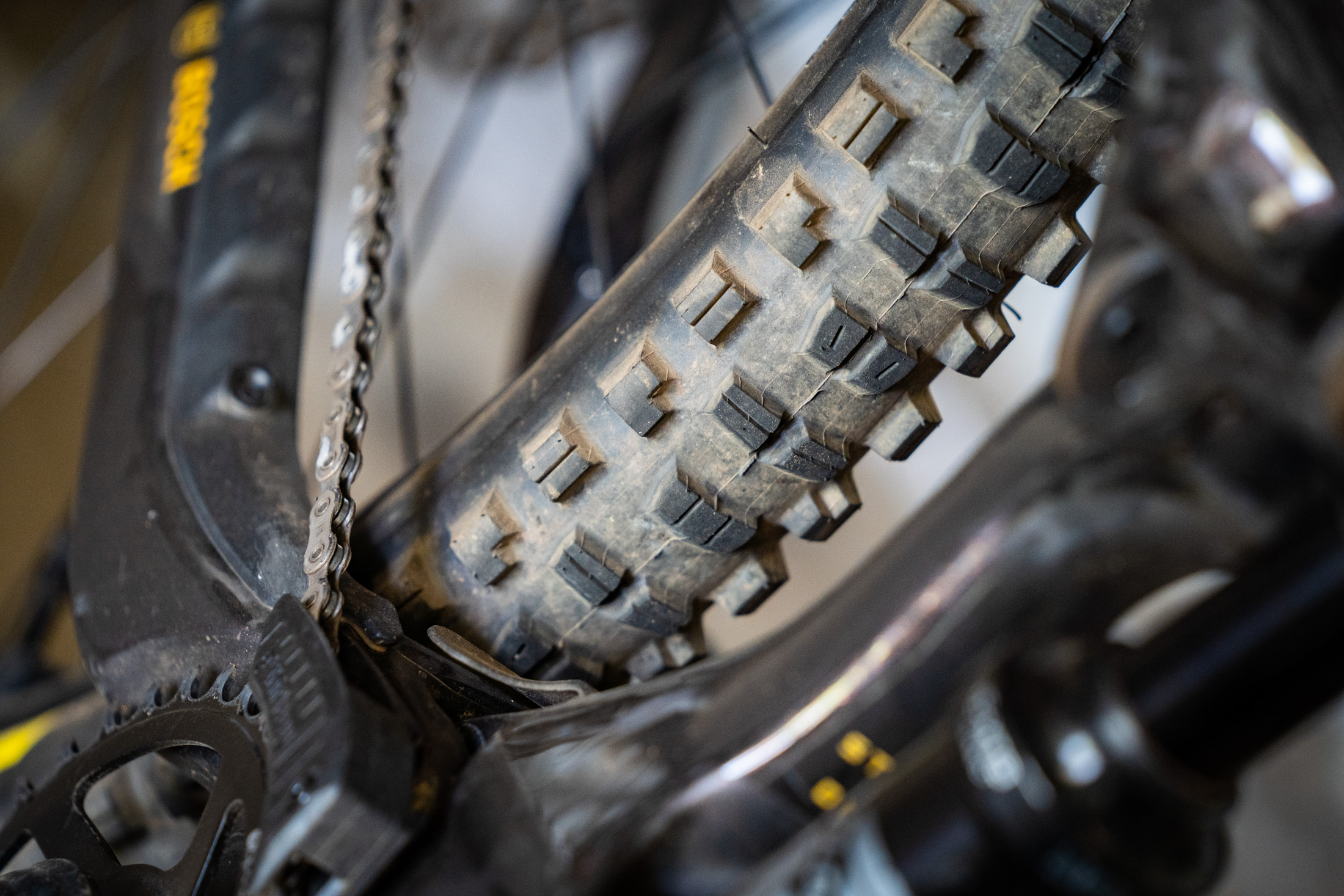 Fresh Produce | Maxxis Assegai, Minion DHR II & Forekaster E-50 Tyres