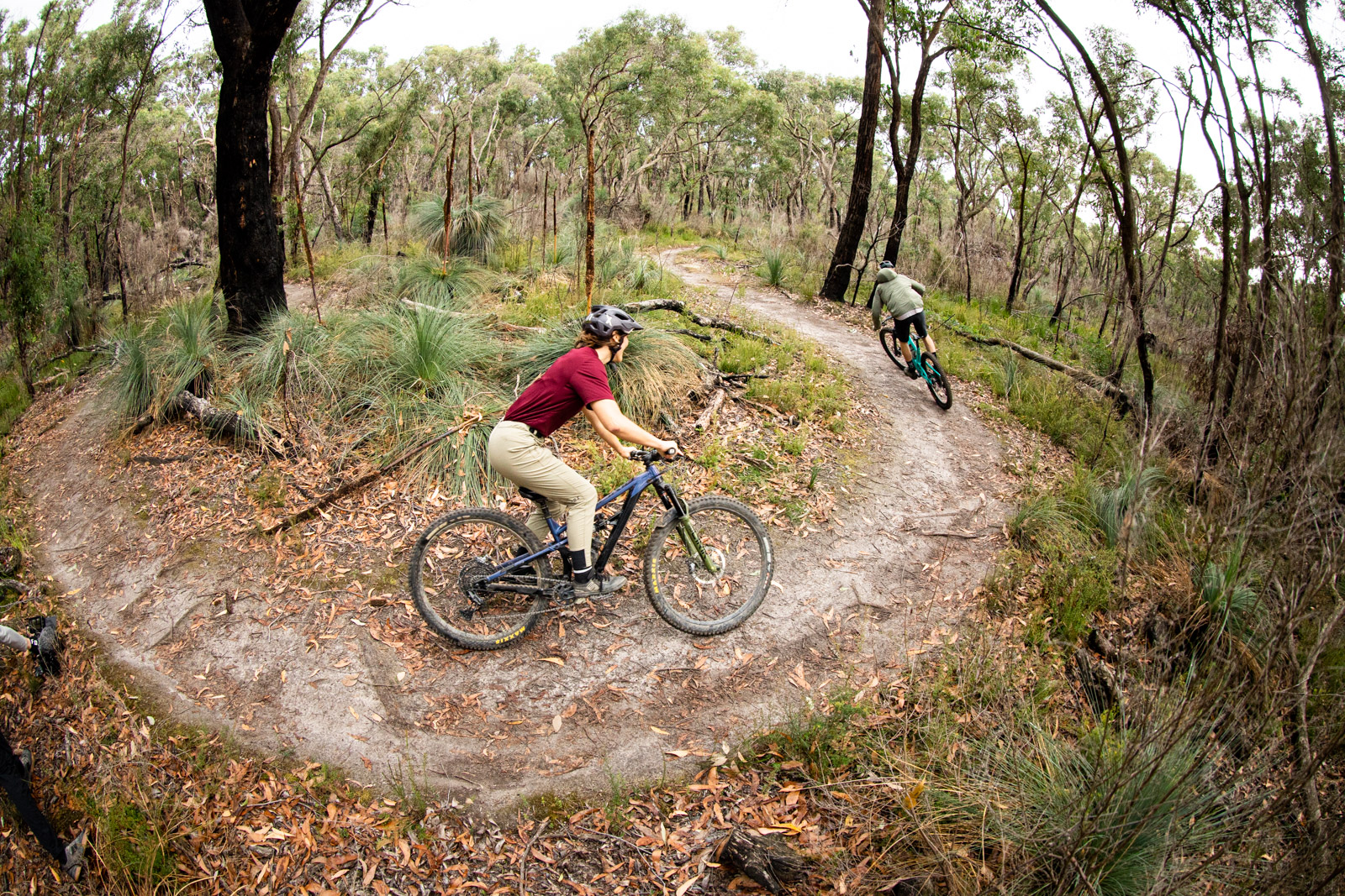 Forrest Mountain Bike Trails | Complete guide | Flow Mountain Bike