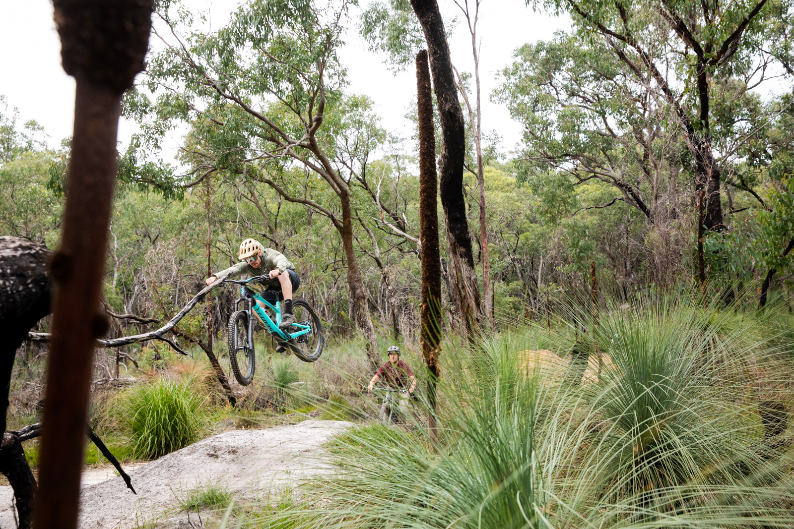 Forrest Mountain Bike Trails | Complete guide | Flow Mountain Bike