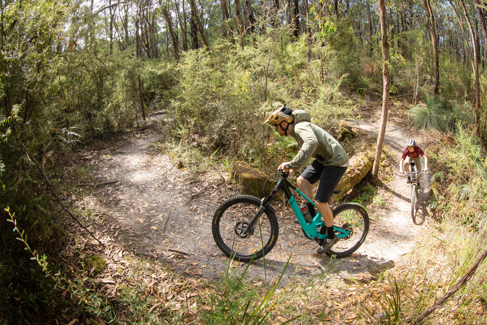 Forrest Mountain Bike Trails | Complete guide | Flow Mountain Bike
