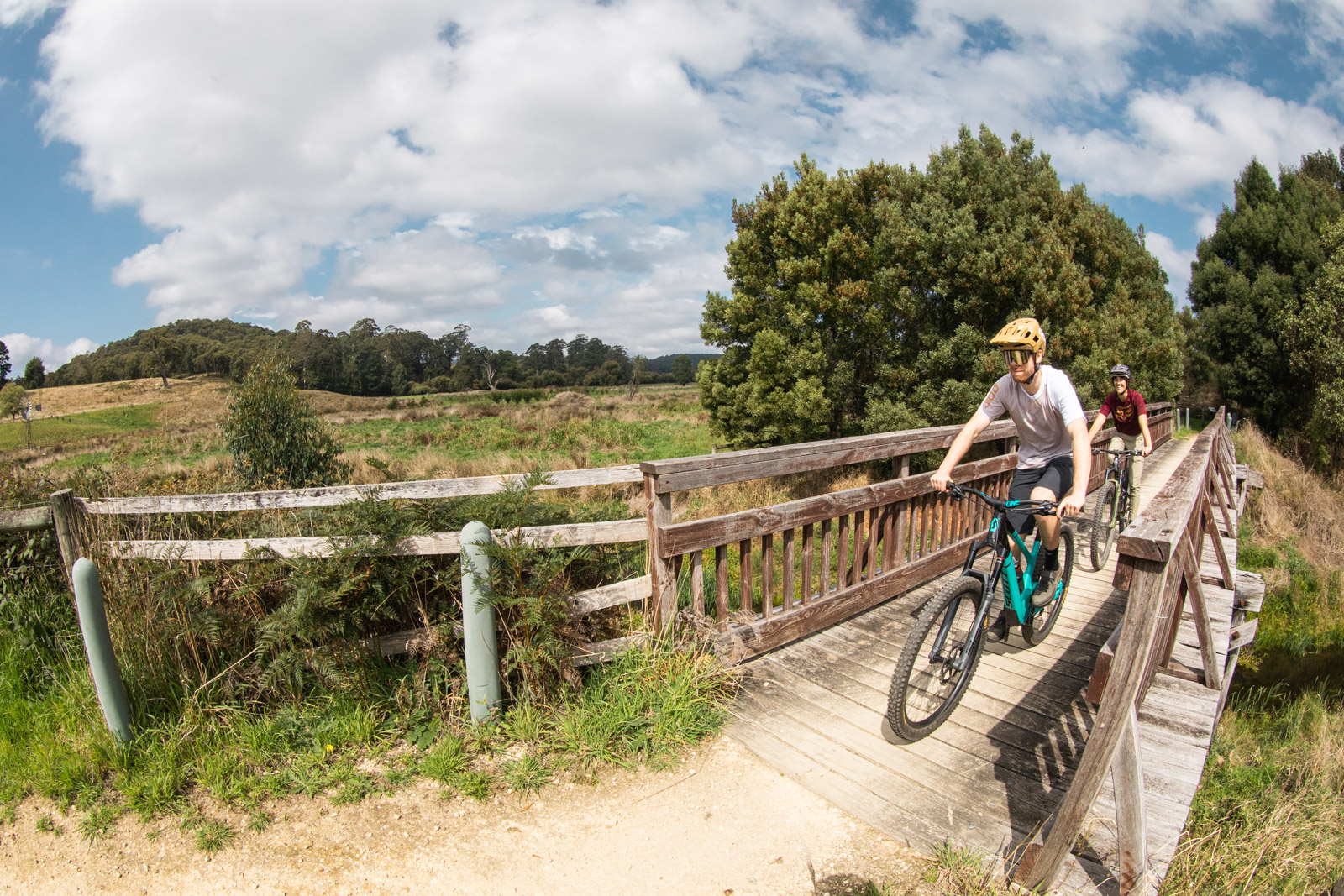 Forrest Mountain Bike Trails | Complete guide | Flow Mountain Bike