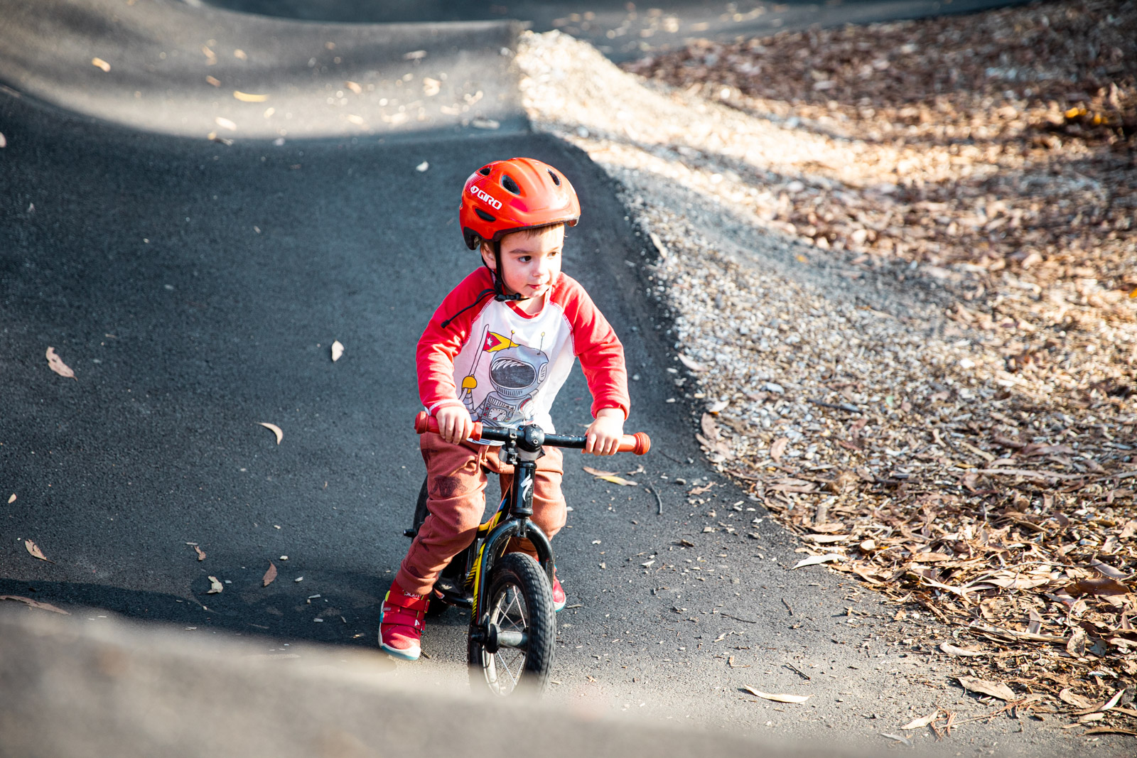 Forrest Mountain Bike Trails | Complete guide | Flow Mountain Bike