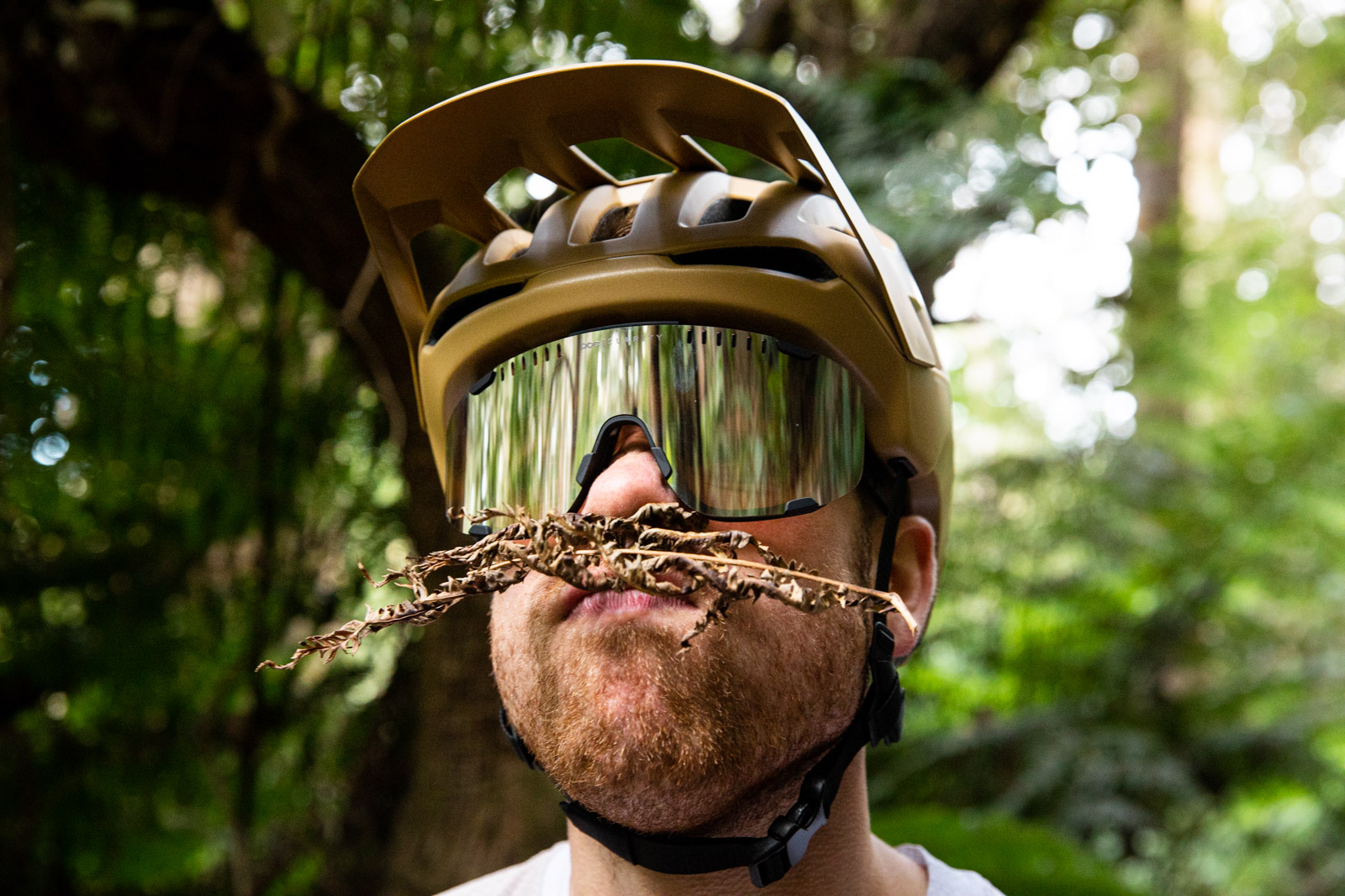 Forrest Mountain Bike Trails | Complete guide | Flow Mountain Bike