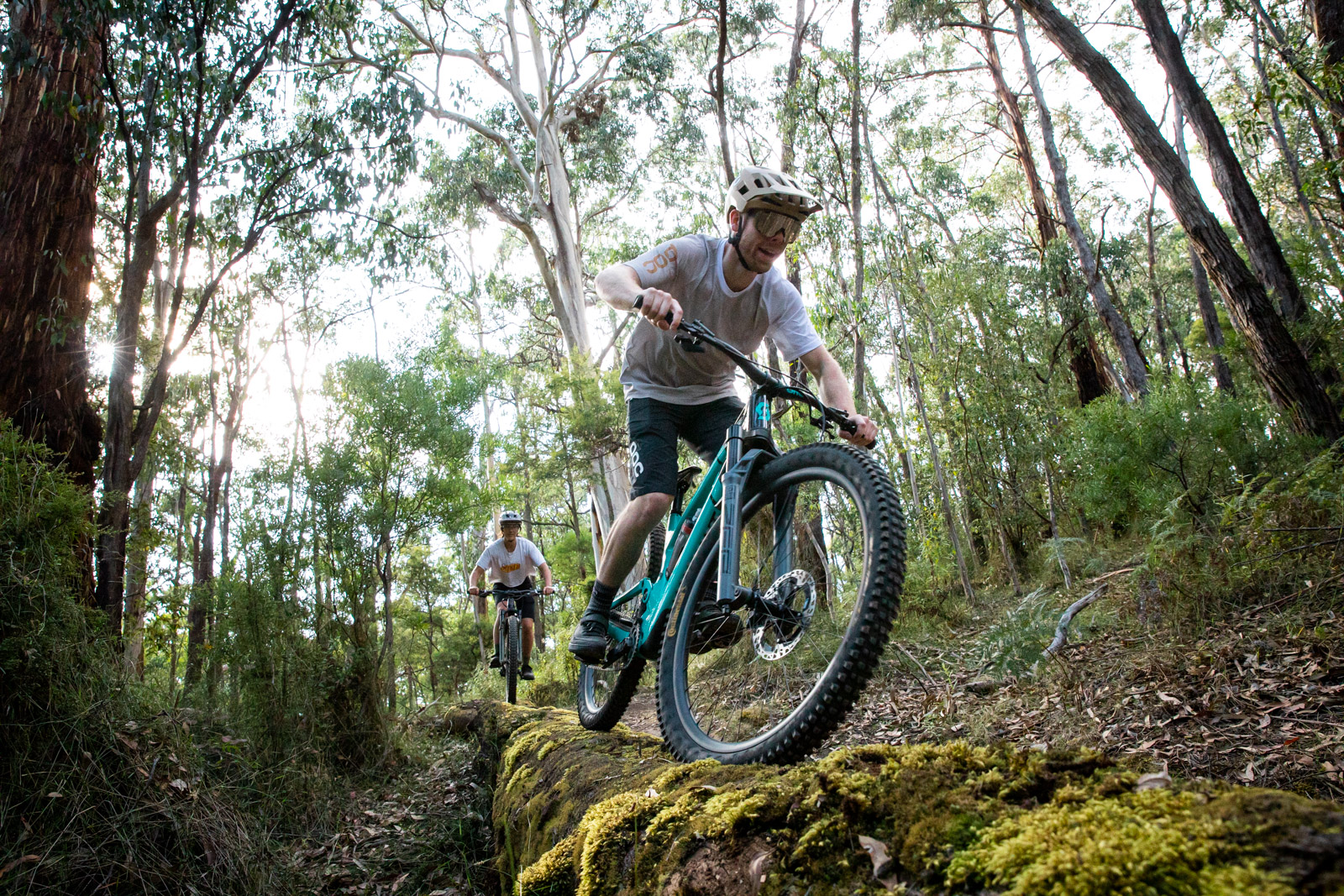Lush & Loose | Forrest is back with some new tricks