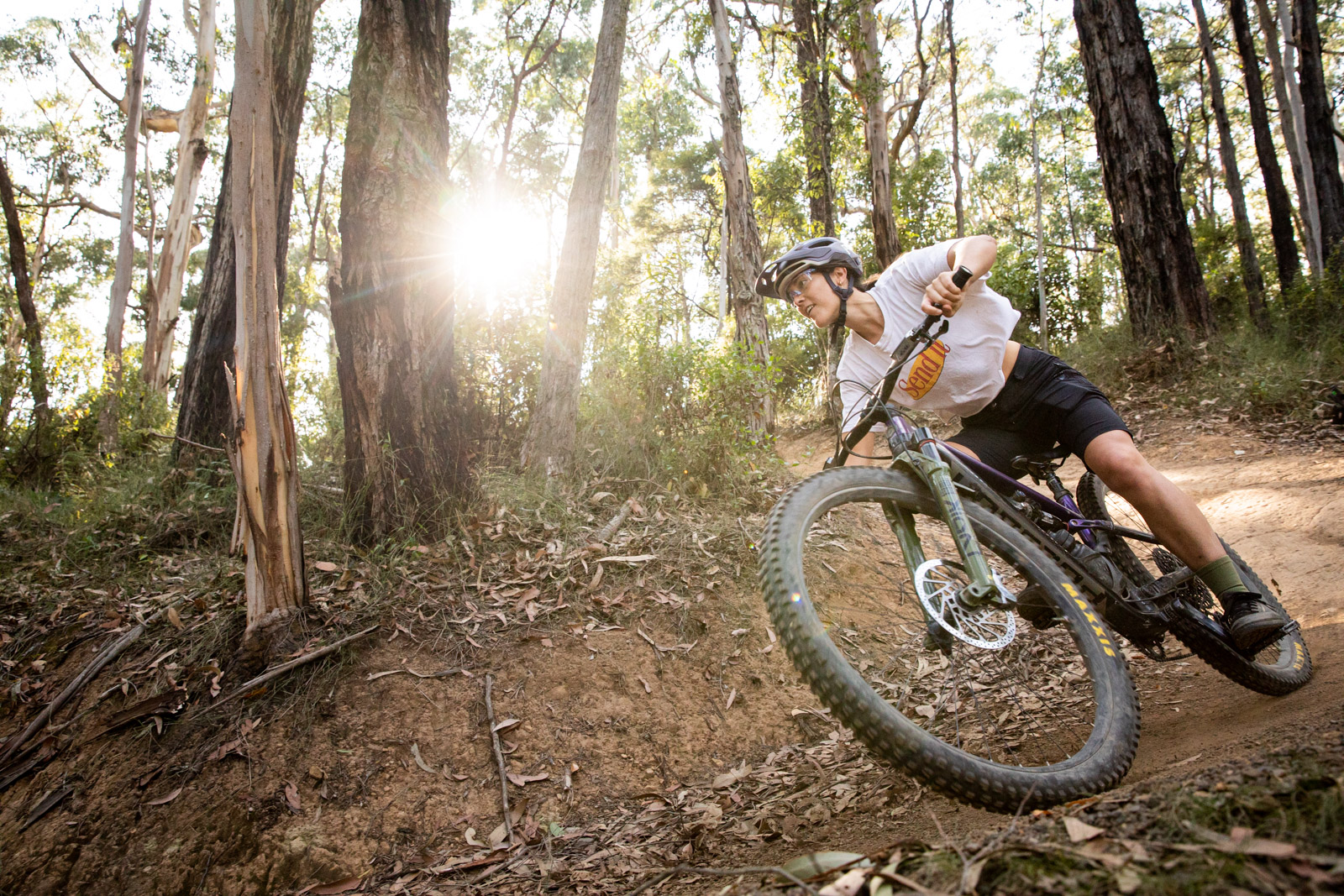 Forrest Mountain Bike Trails | Complete guide | Flow Mountain Bike