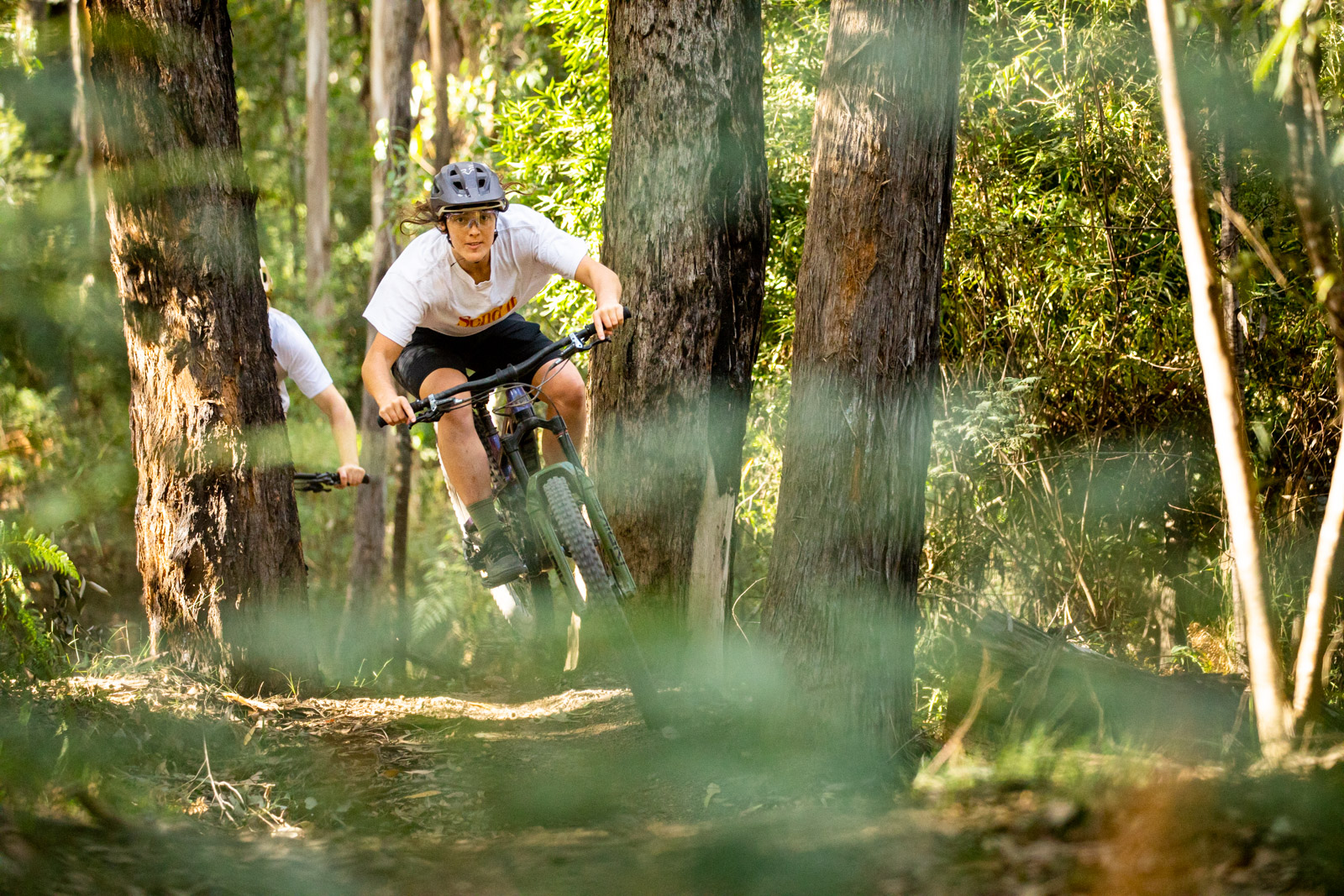 Forrest Mountain Bike Trails | Complete guide | Flow Mountain Bike