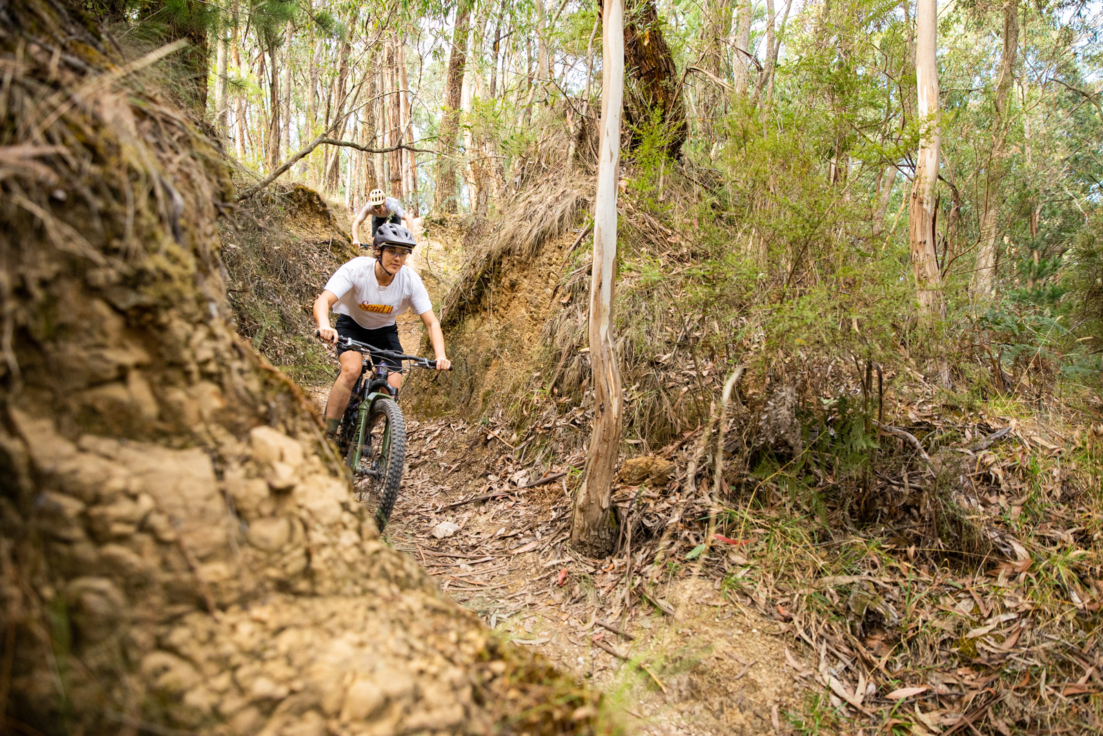 Forrest Mountain Bike Trails | Complete guide | Flow Mountain Bike