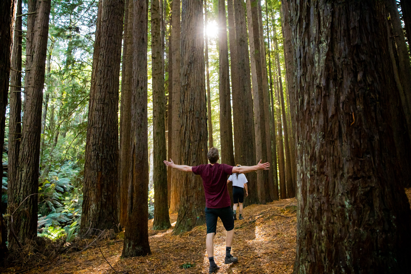 Forrest Mountain Bike Trails | Complete guide | Flow Mountain Bike