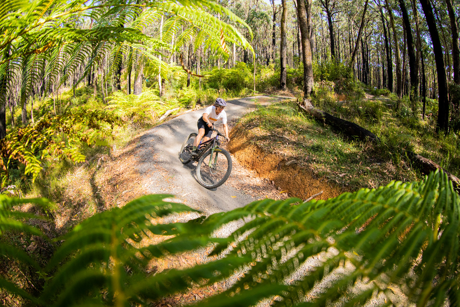 Australian Mountain Bike Destination Guide | Flow Mountain Bike