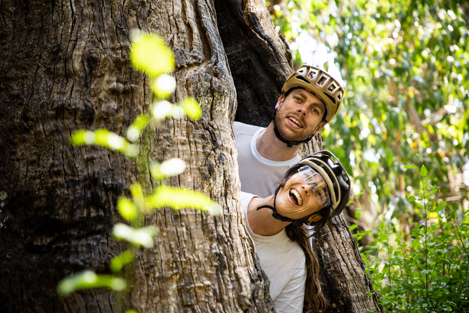 Forrest Mountain Bike Trails | Complete guide | Flow Mountain Bike