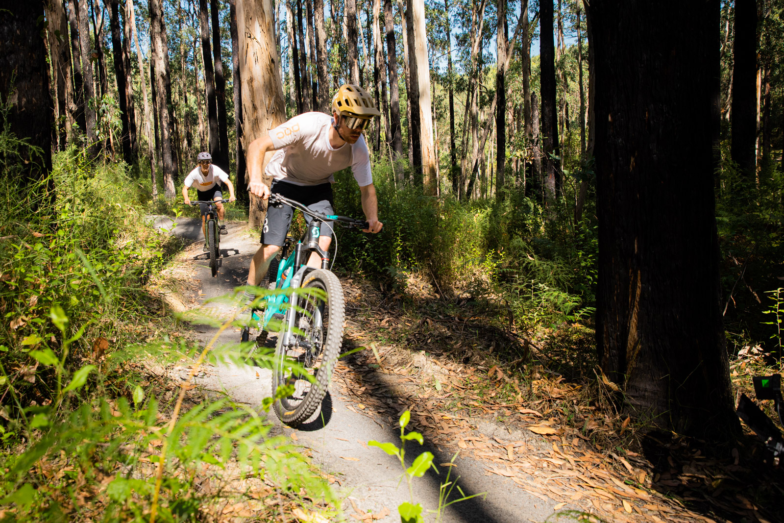 Lush & Loose | Forrest is back with some new tricks