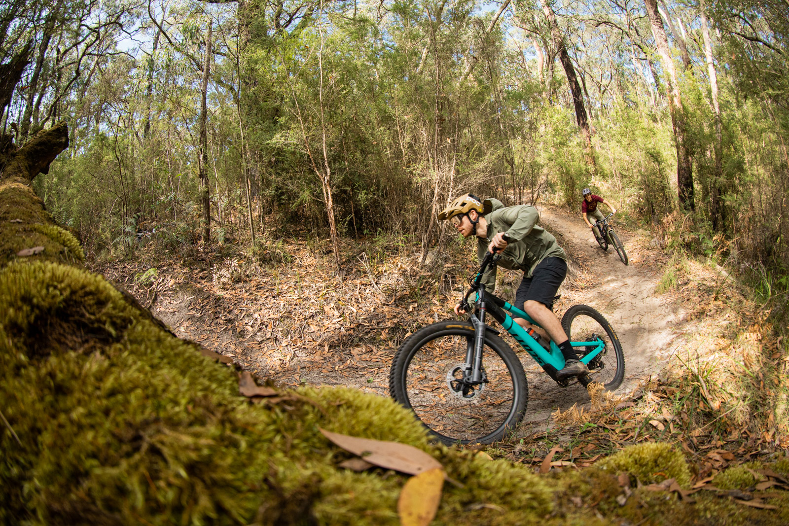 Forrest Mountain Bike Trails | Complete guide | Flow Mountain Bike