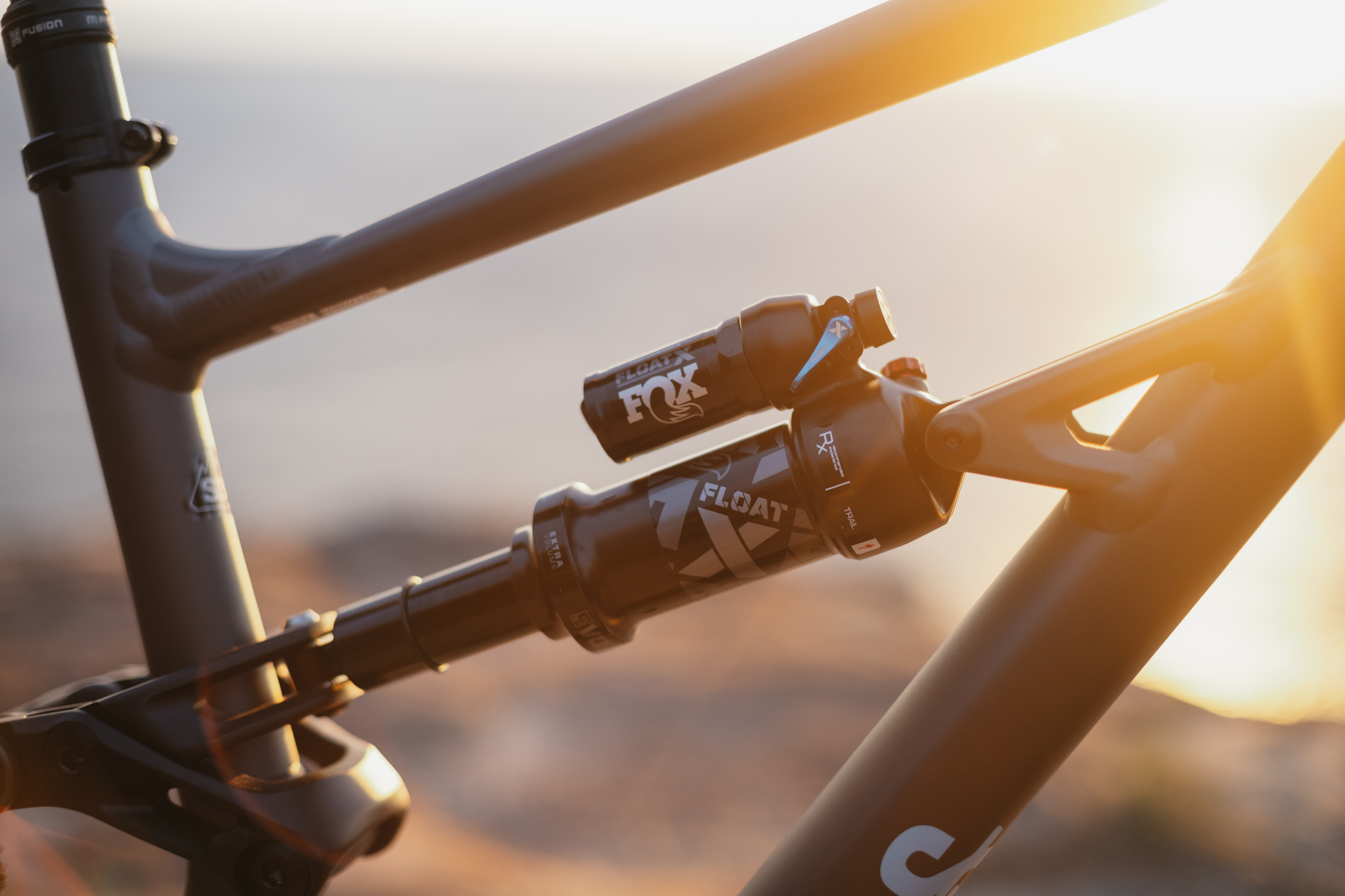 Specialized Status 160 Review | An Anomaly in the Specialized Mould