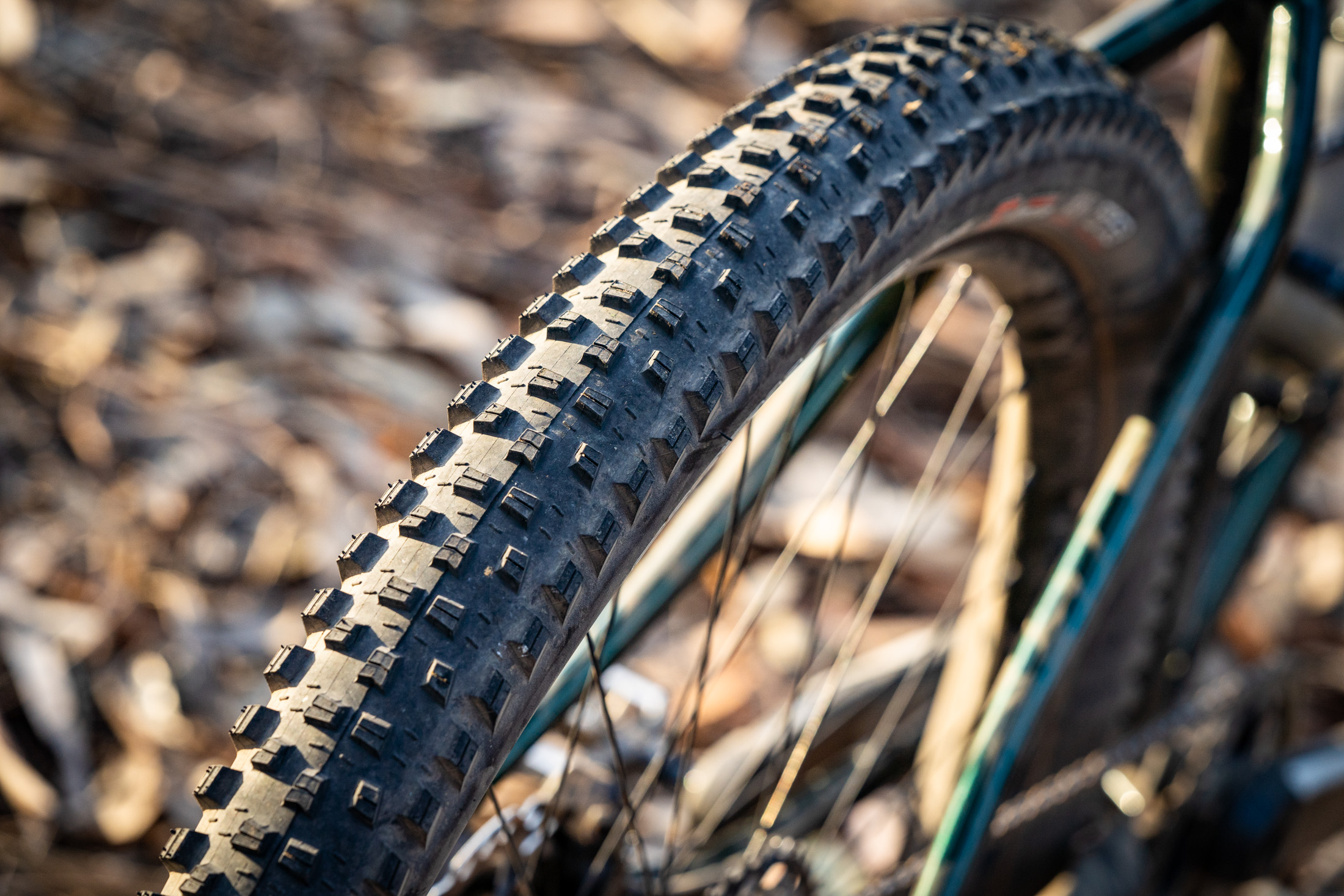 Fresh Produce | The 2.6in Maxxis Forekaster is a fast & versatile high ...