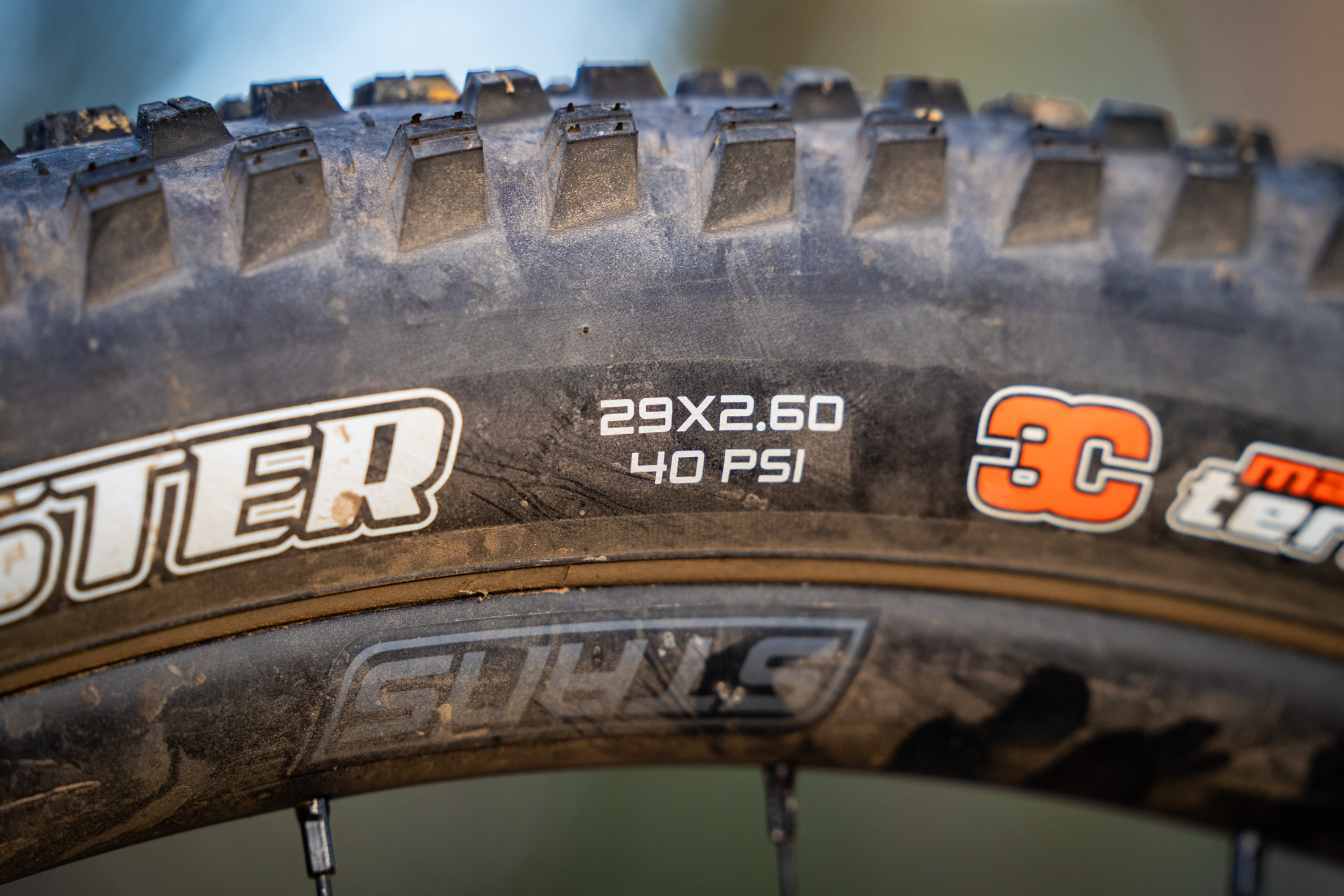 Fresh Produce | The 2.6in Maxxis Forekaster is a fast & versatile high ...