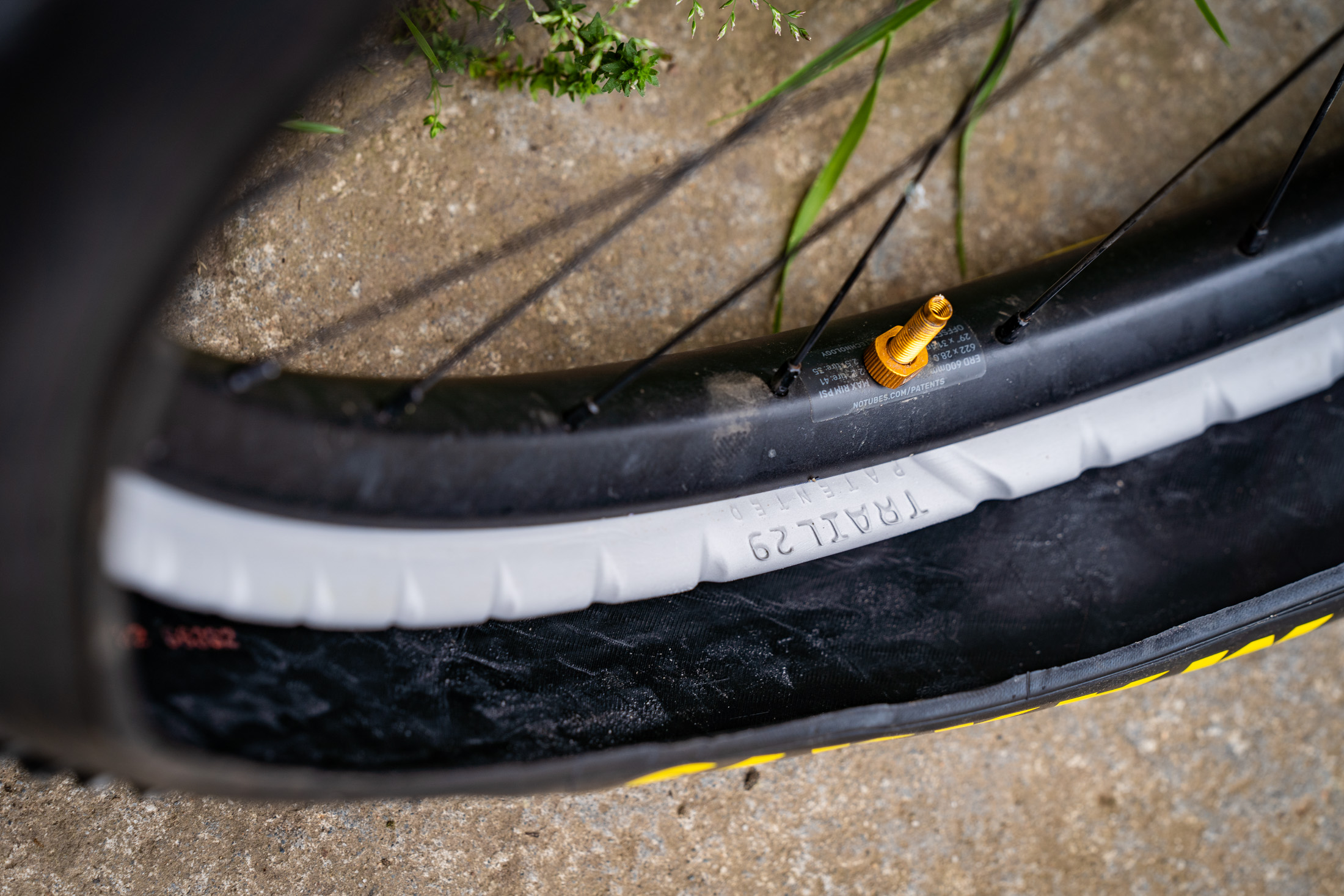 Fresh Produce | Is the new CushCore Trail the Goldilocks tubeless tyre ...