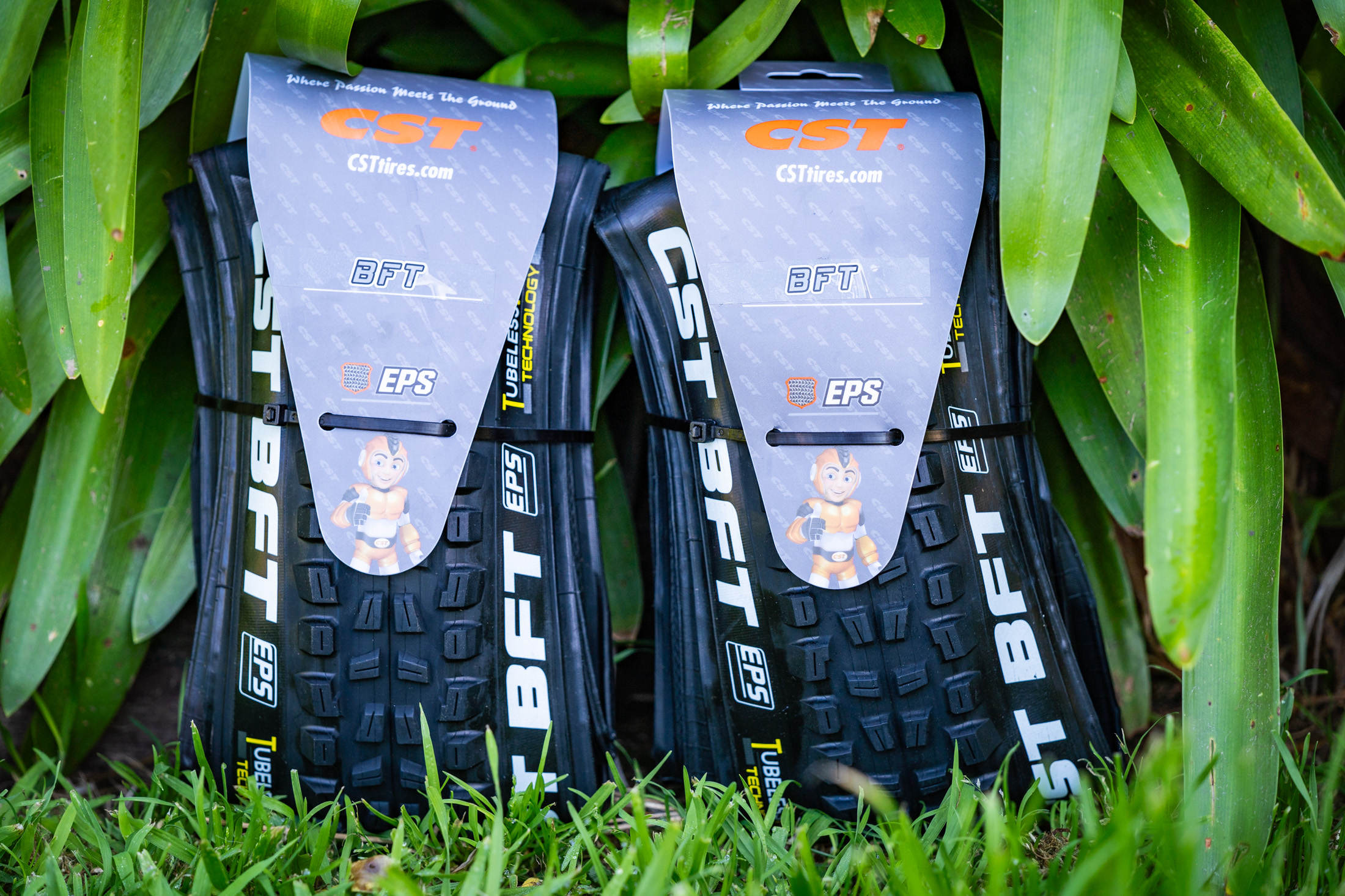 Fresh Produce | The CST BFT is a well-priced mountain bike tyre