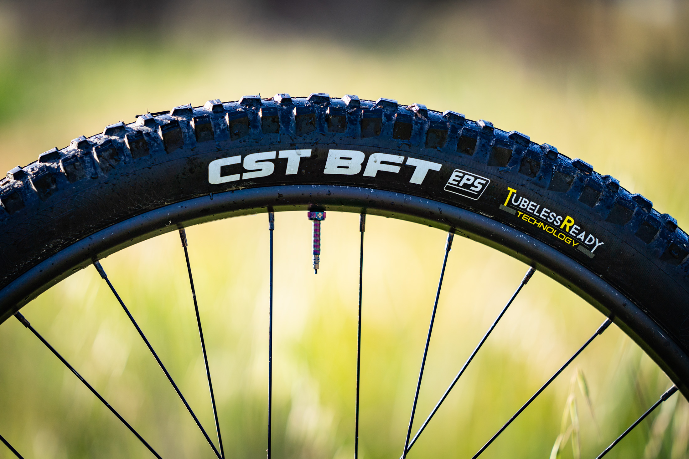 Fresh Produce | The CST BFT is a well-priced mountain bike tyre