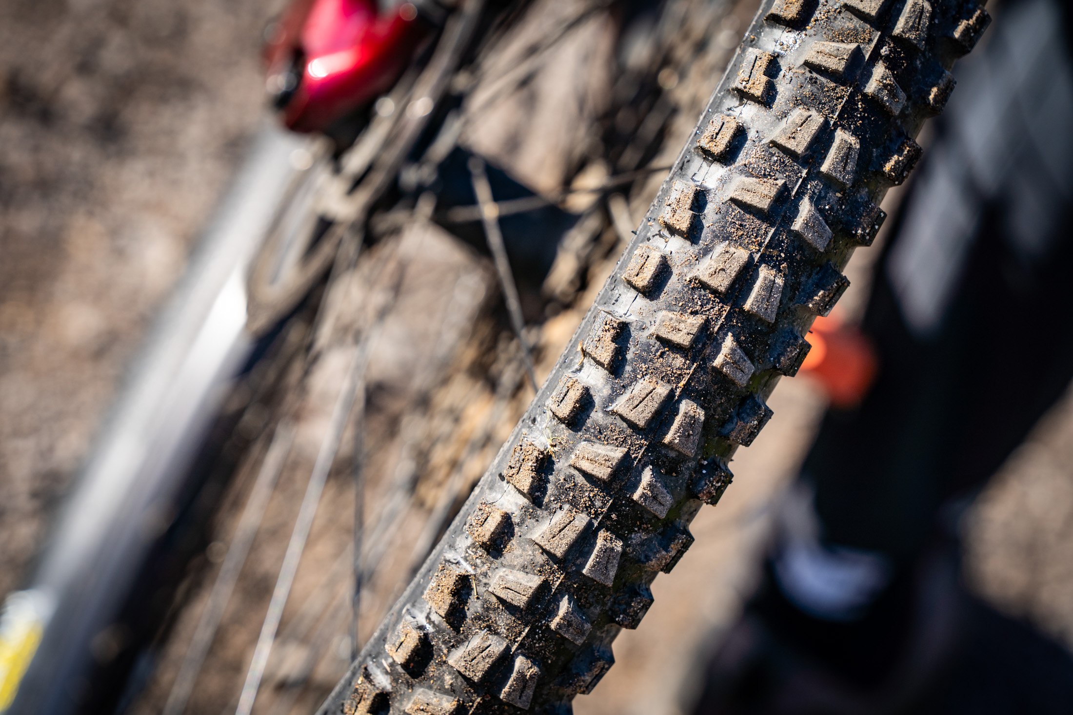 Fresh Produce | The CST BFT is a well-priced mountain bike tyre