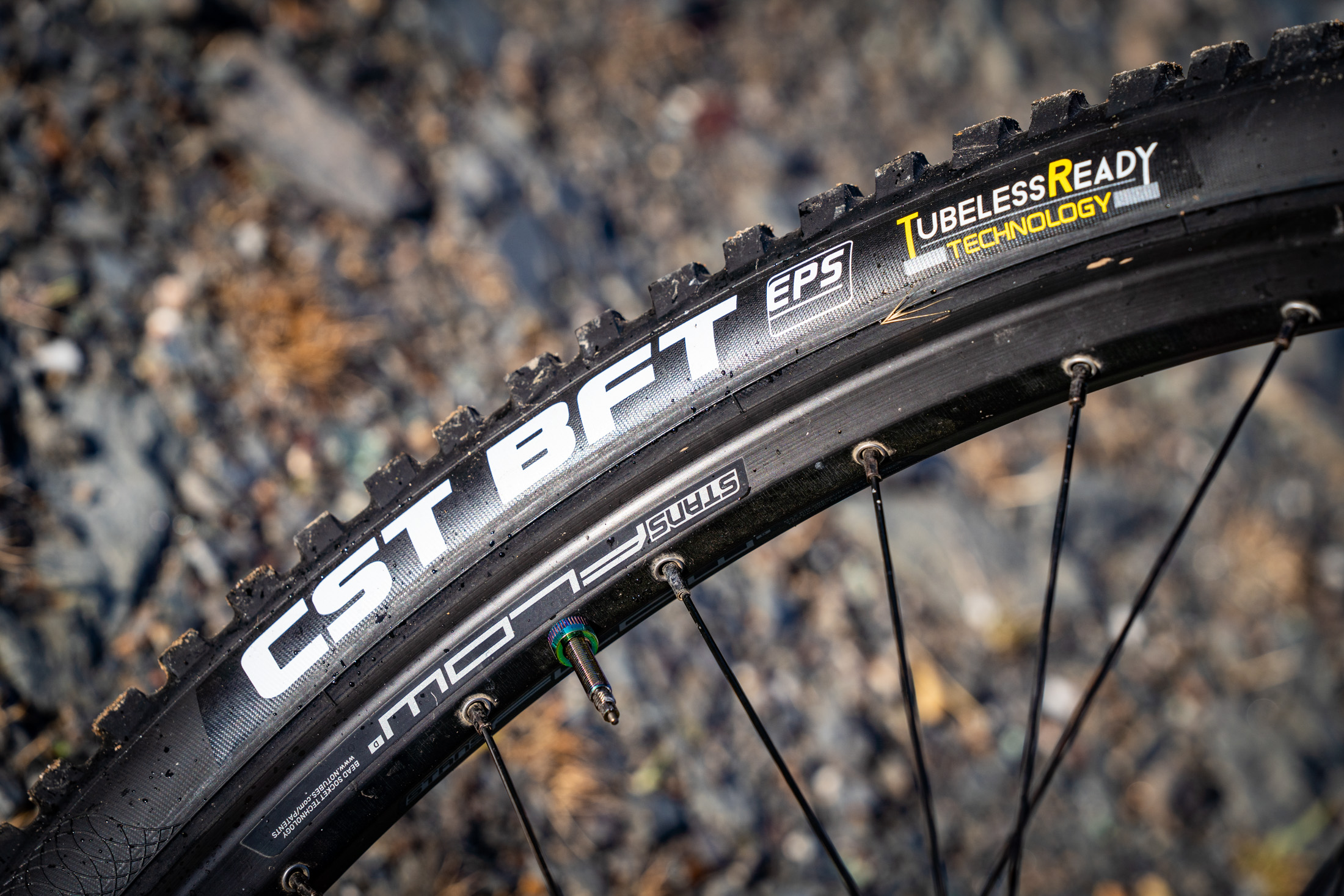Fresh Produce | The CST BFT is a well-priced mountain bike tyre