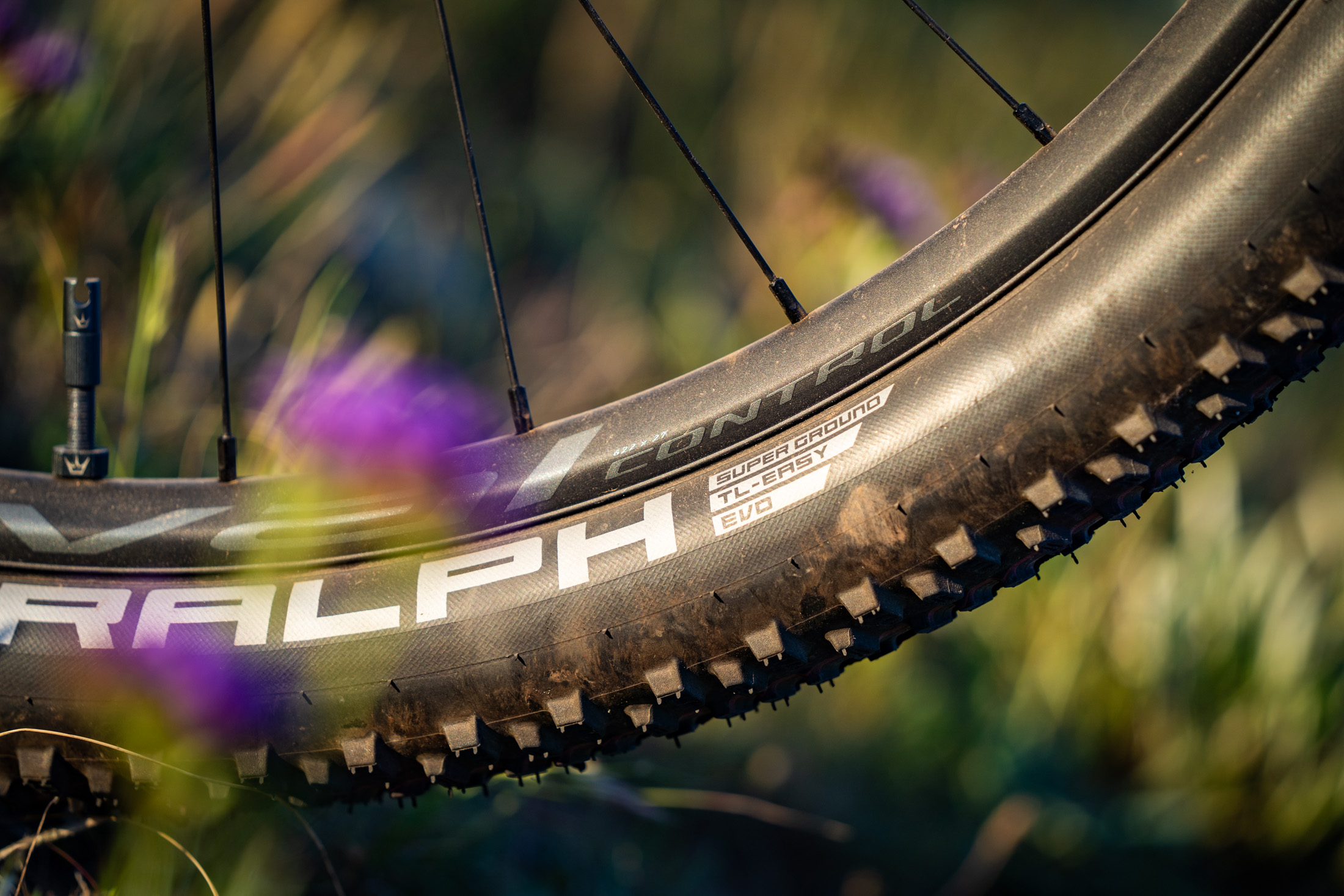 Roval Control Alloy Wheel Review | Light, smooth and well-priced
