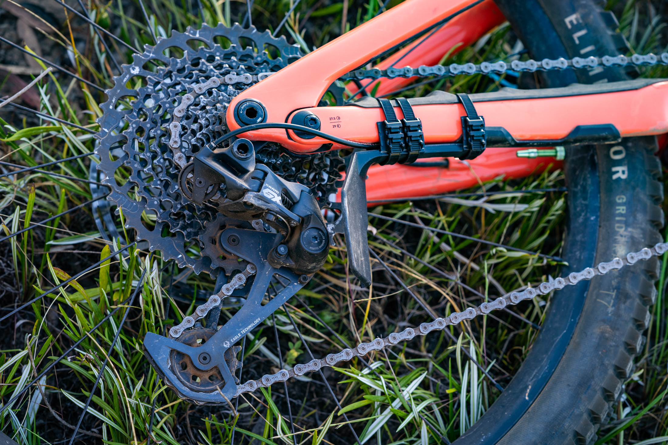 Fresh Produce | Branchy Protection Derailleur Guard - Flow Mountain Bike
