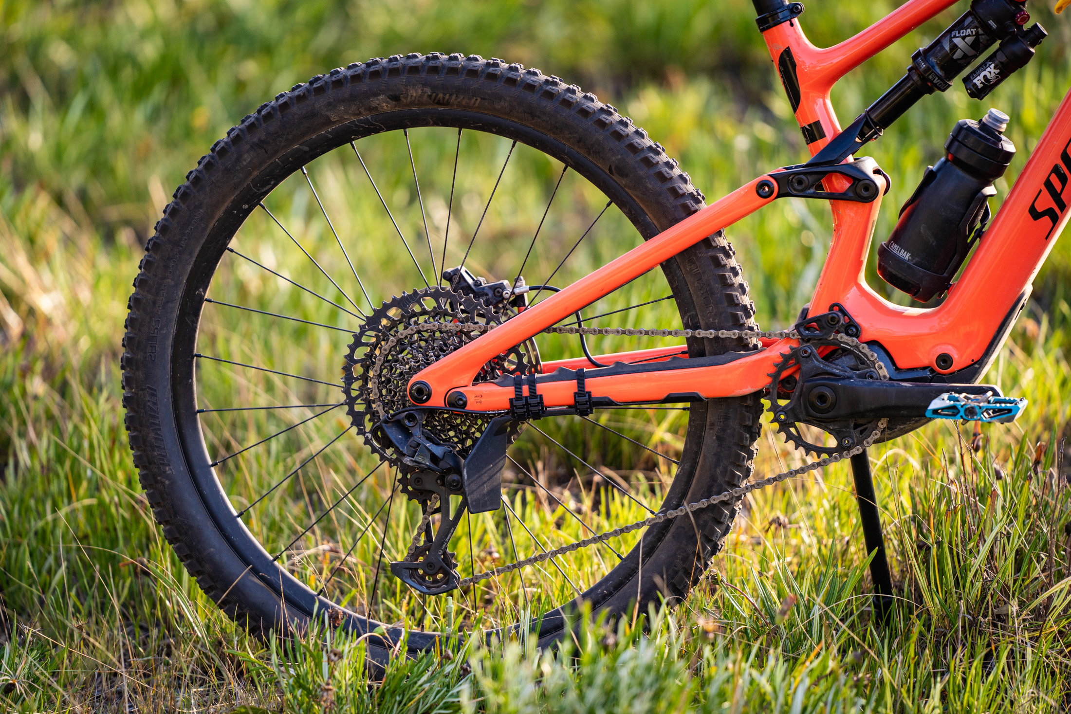 Fresh Produce | Branchy Protection Derailleur Guard - Flow Mountain Bike