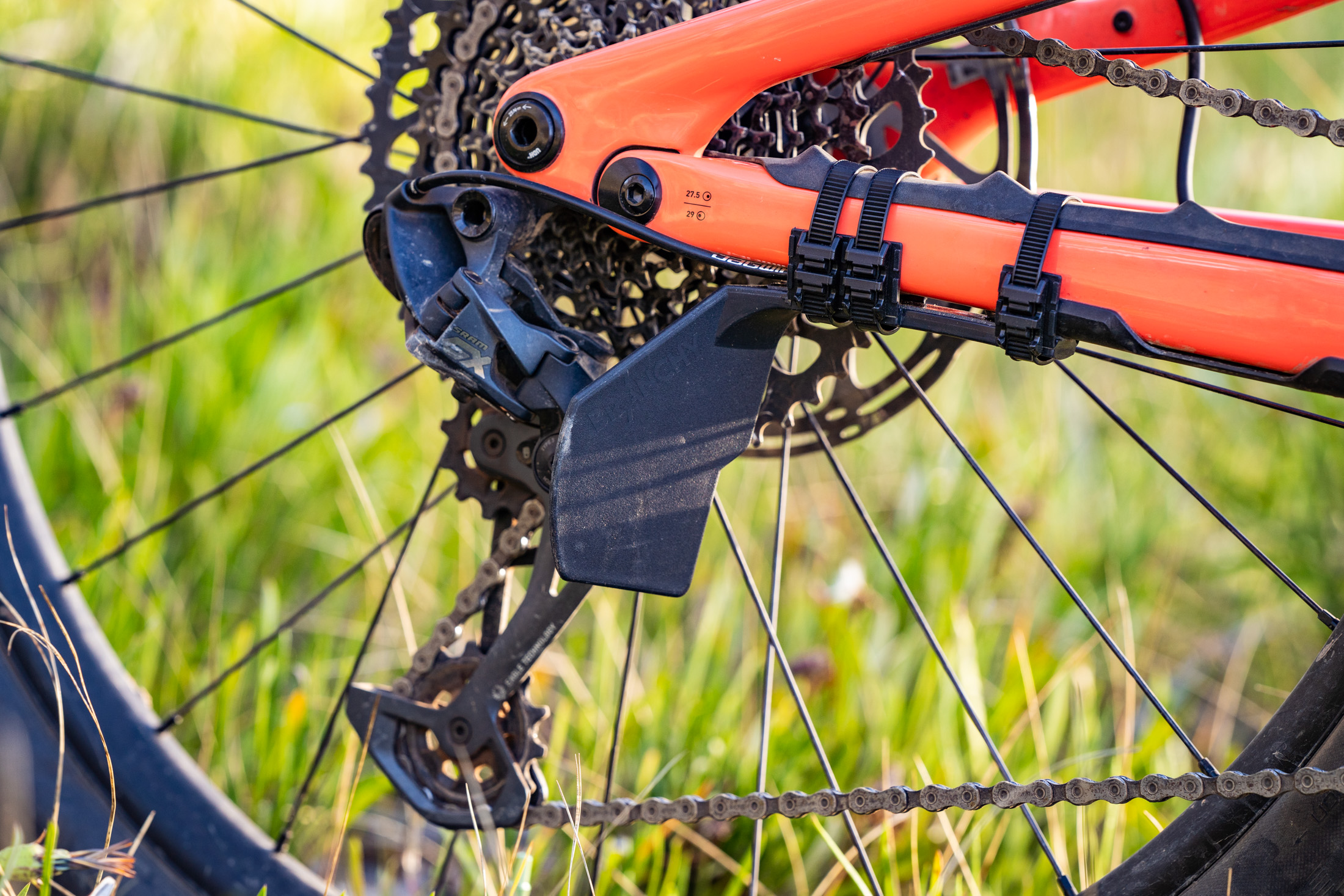 Fresh Produce | Branchy Protection Derailleur Guard - Flow Mountain Bike