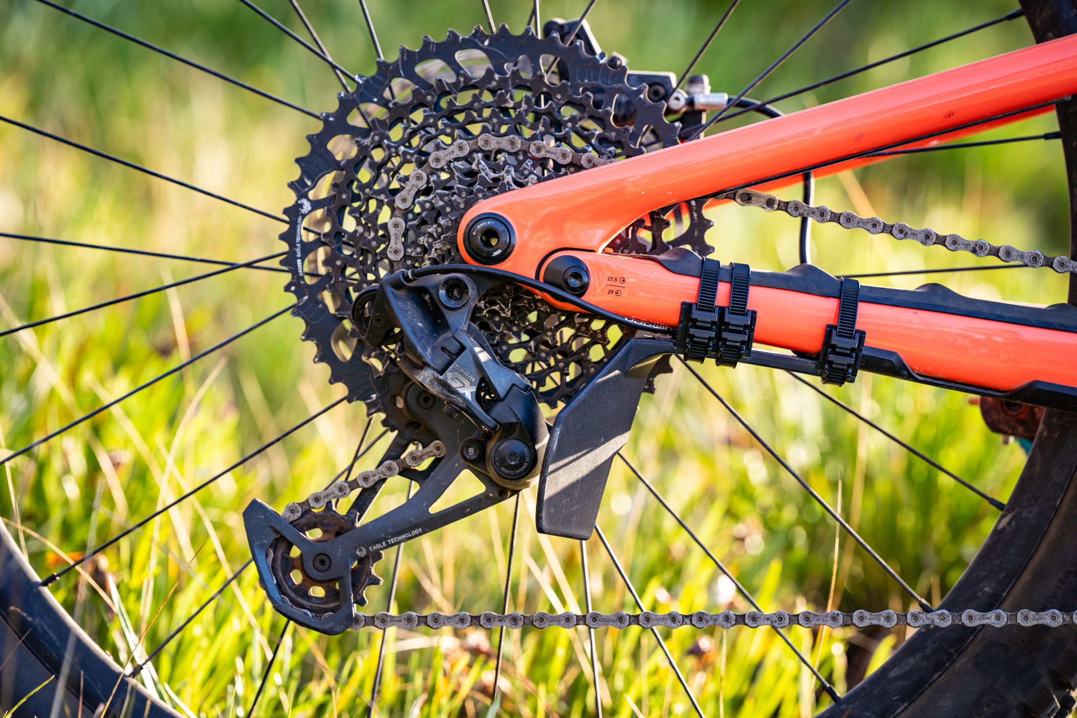 Fresh Produce | Branchy Protection Derailleur Guard - Flow Mountain Bike