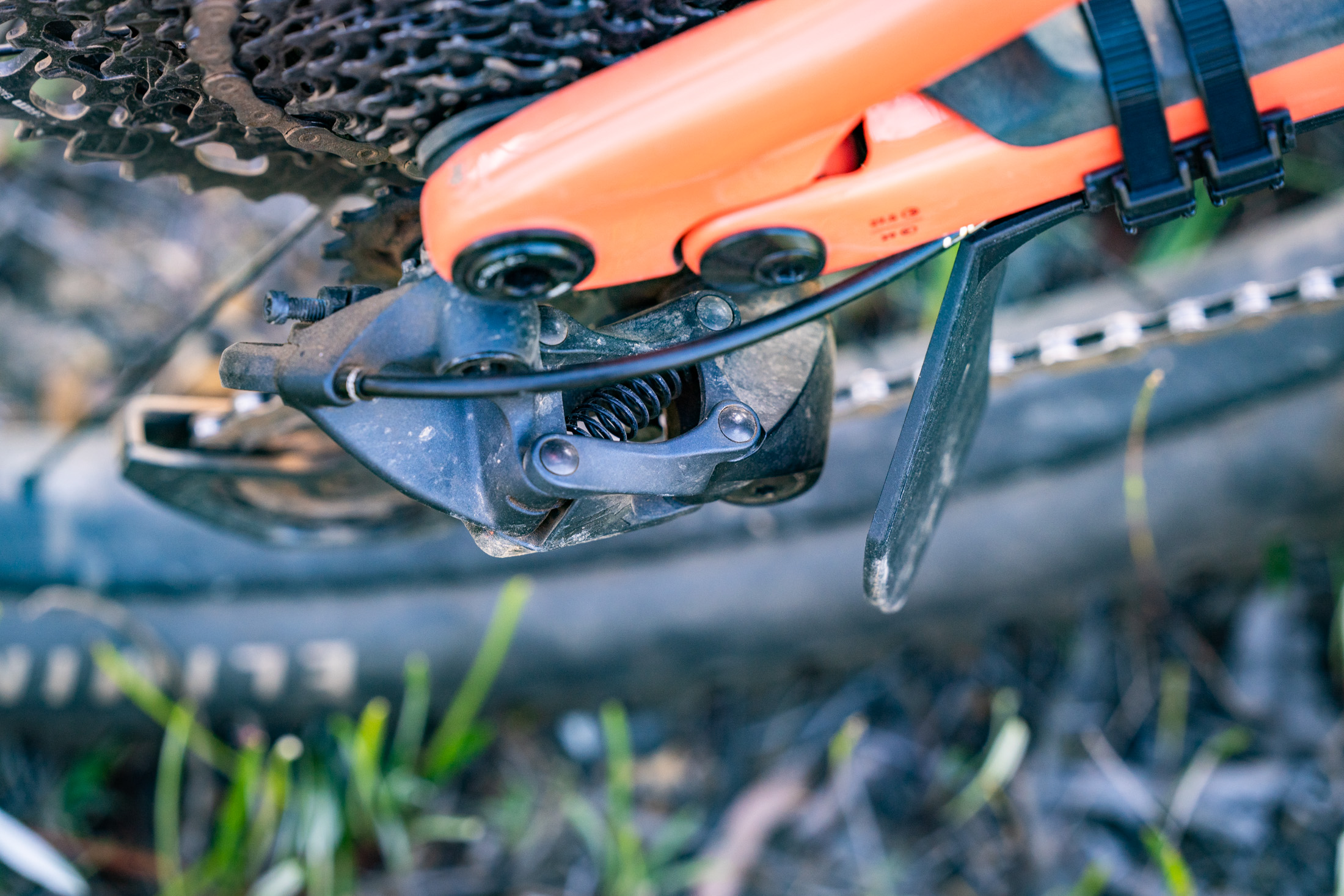 Fresh Produce | Branchy Protection Derailleur Guard - Flow Mountain Bike