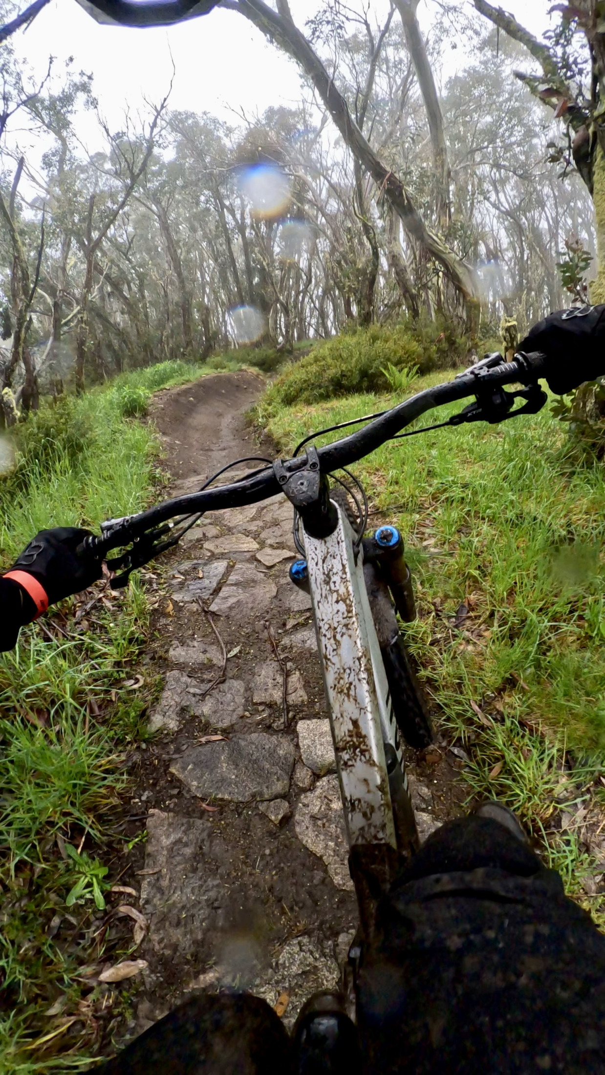 GoPro HERO12 Black Review | The best action camera on the market?