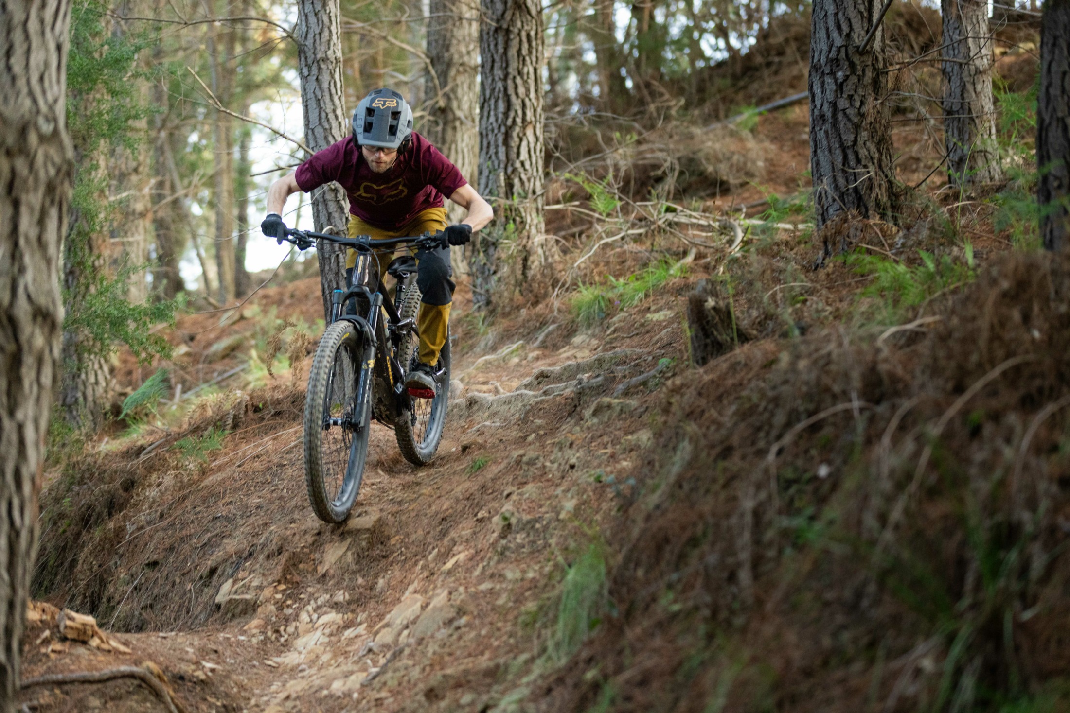 Mystic Memberships 12-Months In | Is the bike park in Bright on the ...