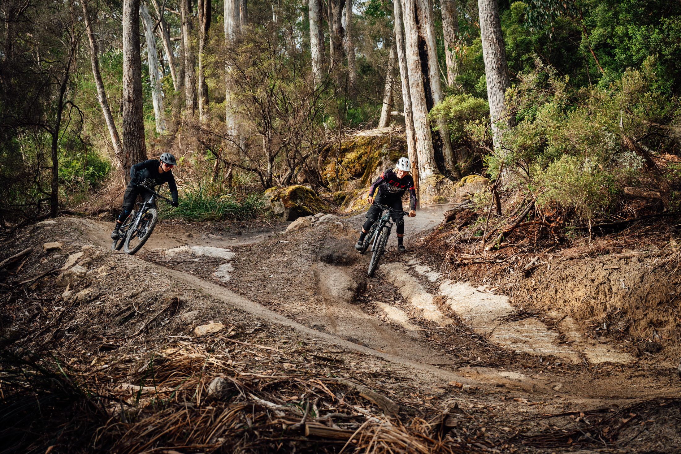 From landslides to infinity berms | What's the latest from Blue Derby?