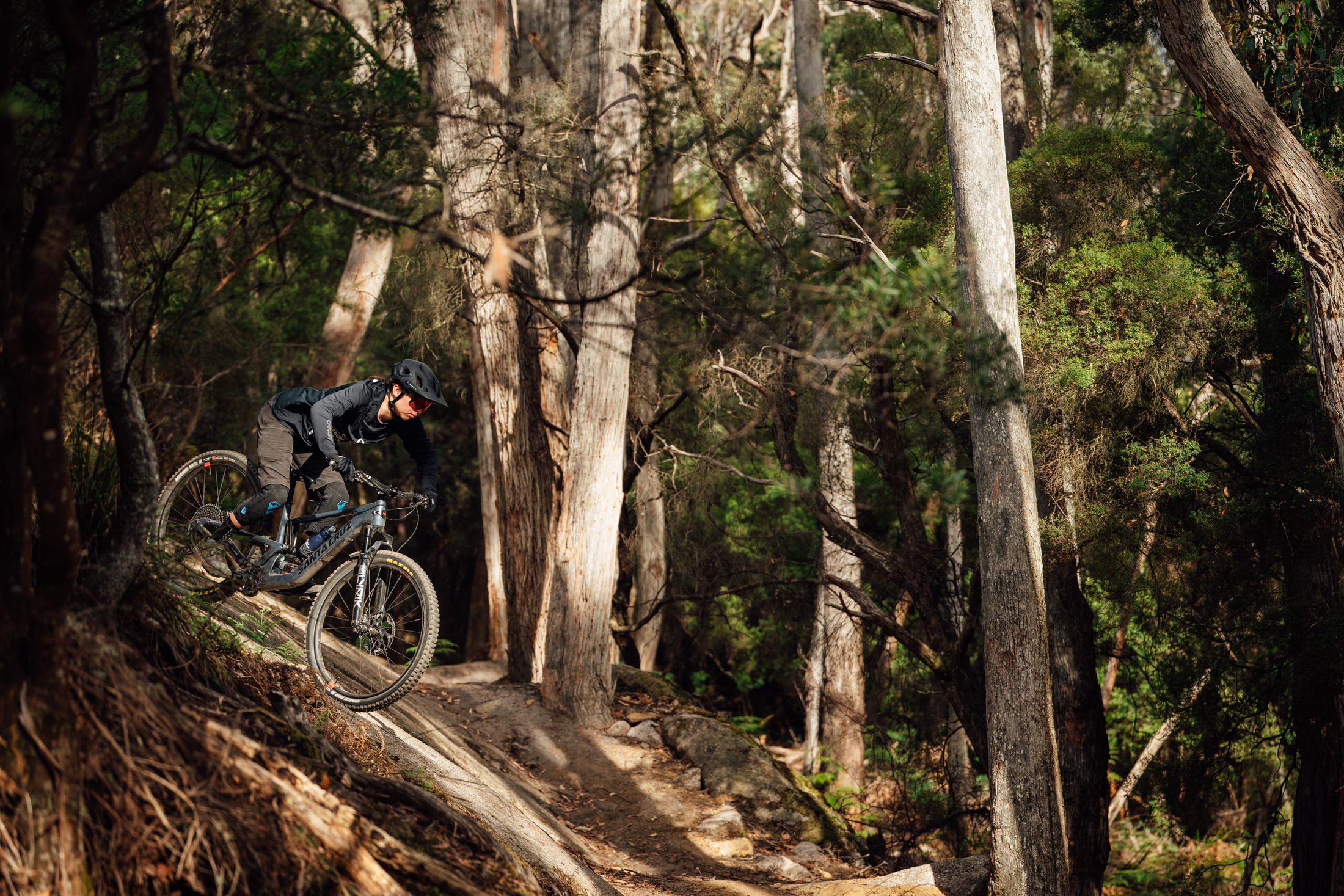 From landslides to infinity berms | What's the latest from Blue Derby?