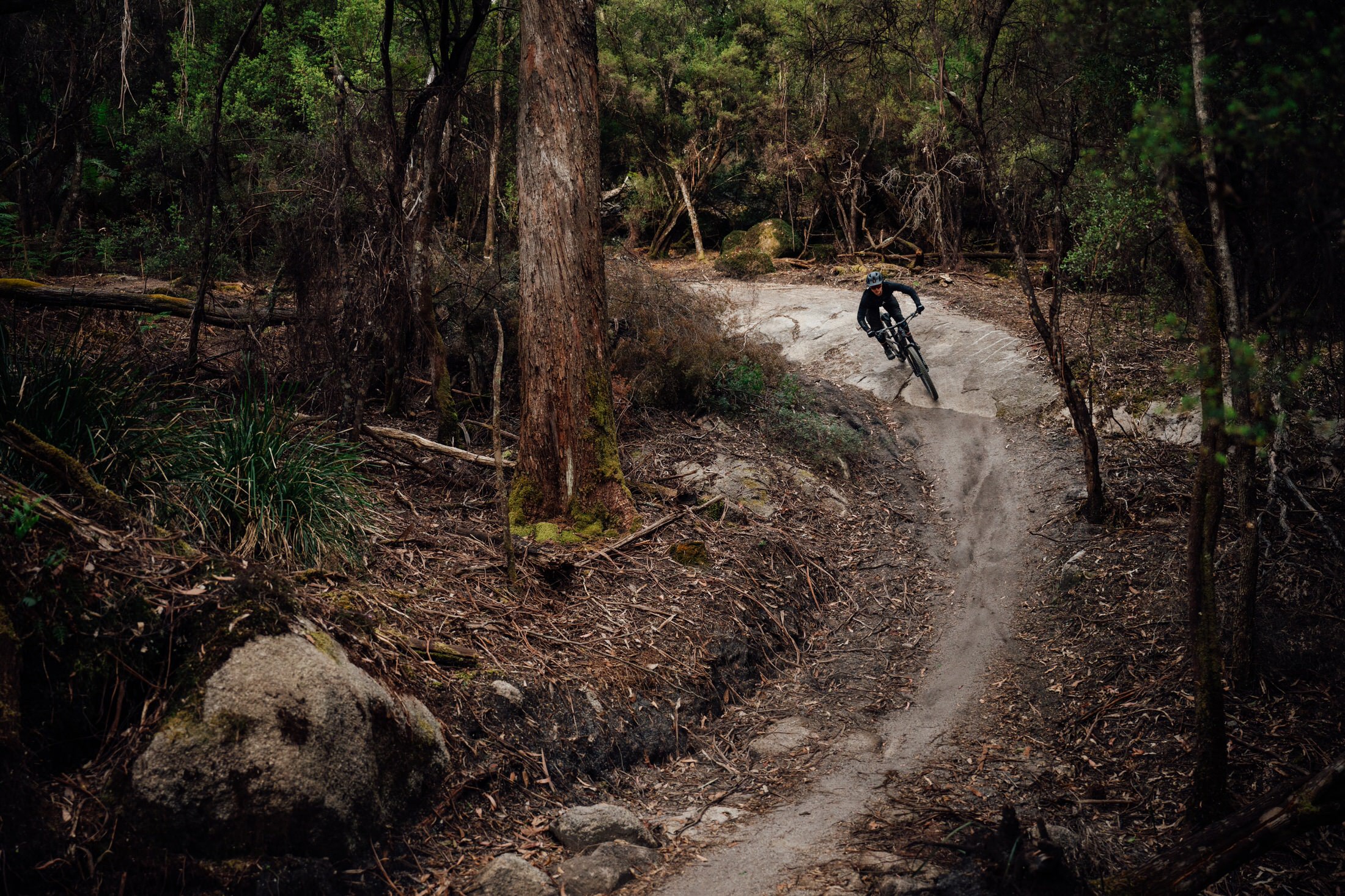From landslides to infinity berms | What's the latest from Blue Derby?