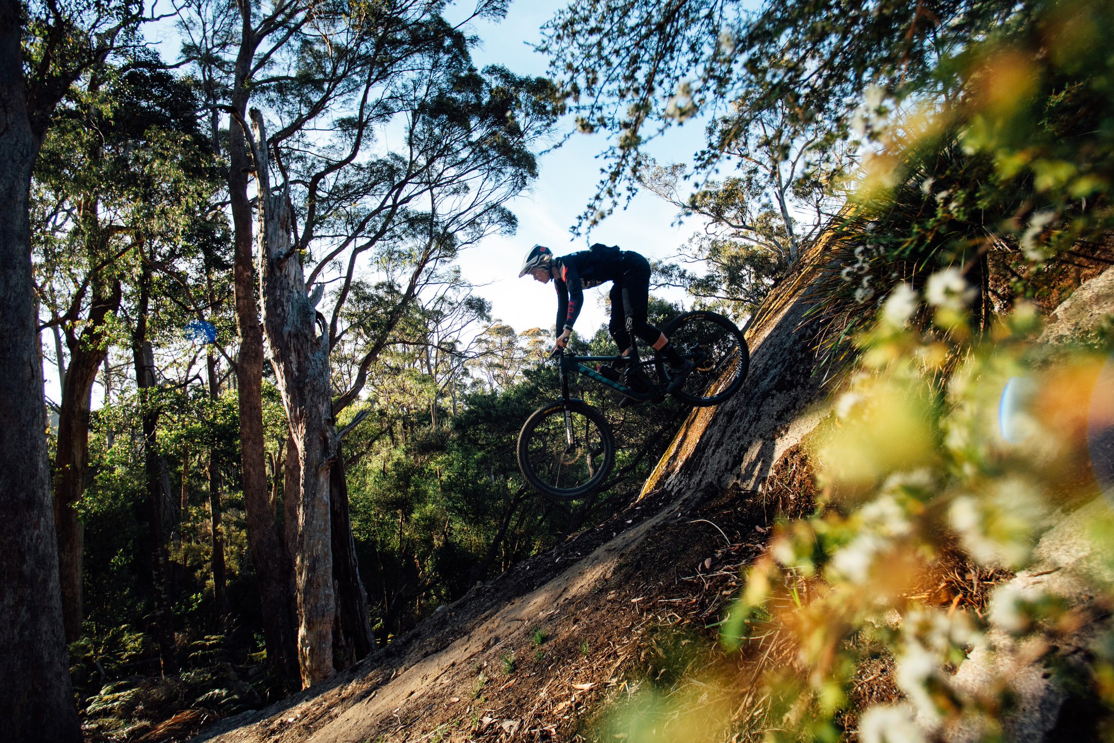 From landslides to infinity berms | What's the latest from Blue Derby?