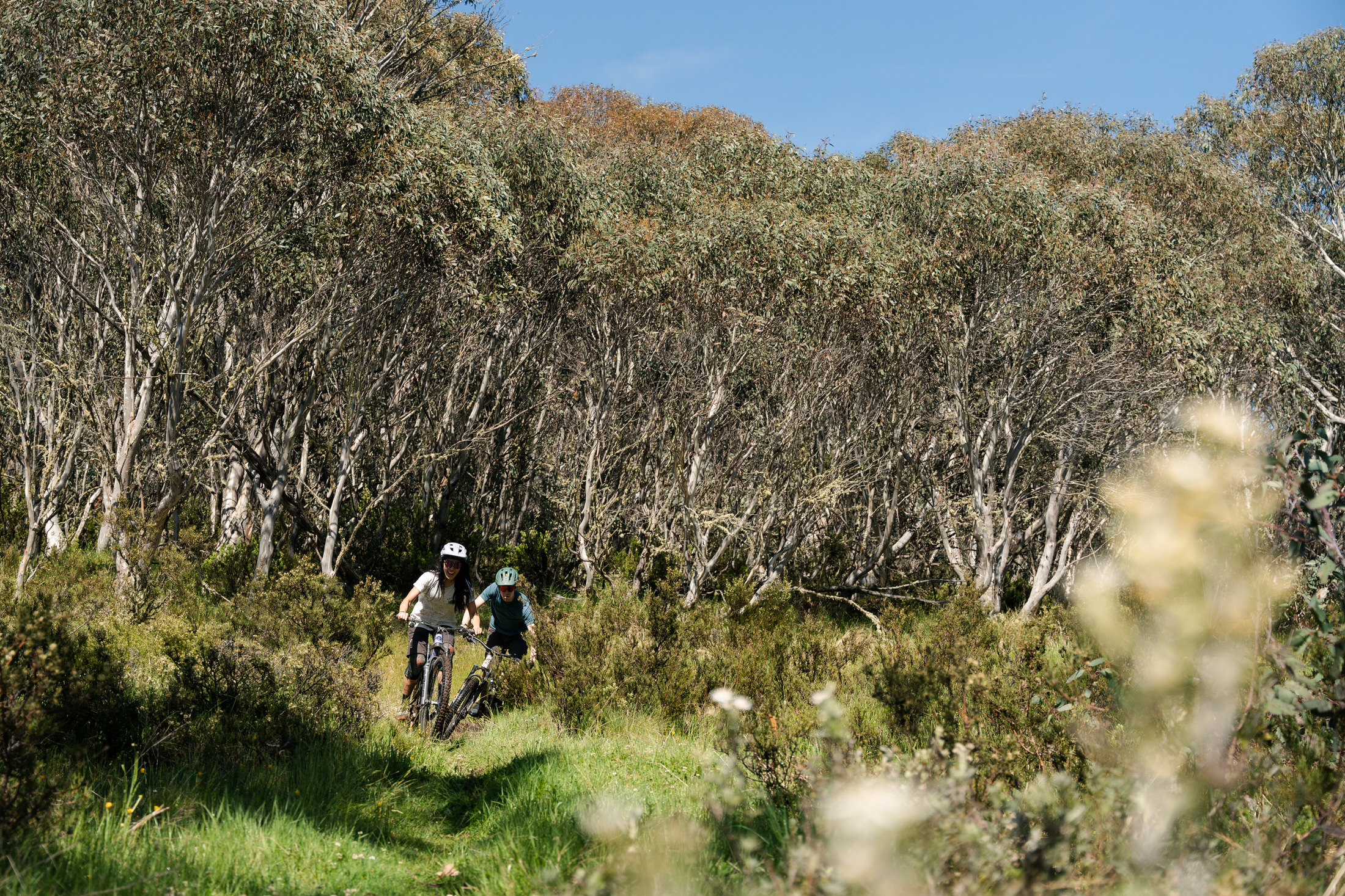 Your Complete Guide to Dinner Plain, VIC | Flow MTB