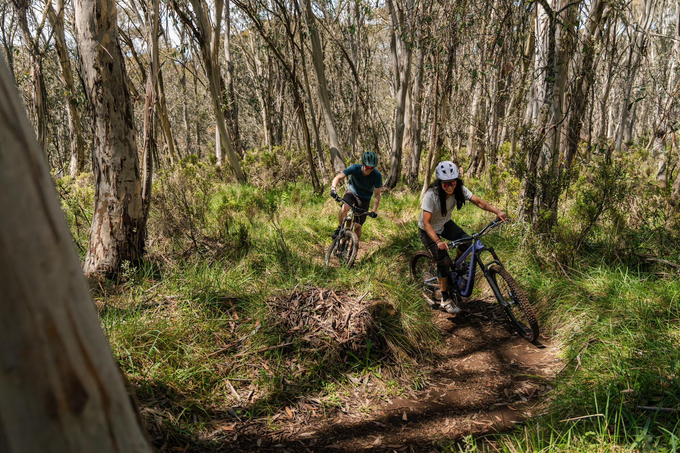 Australian Mountain Bike Destination Guide | Flow Mountain Bike