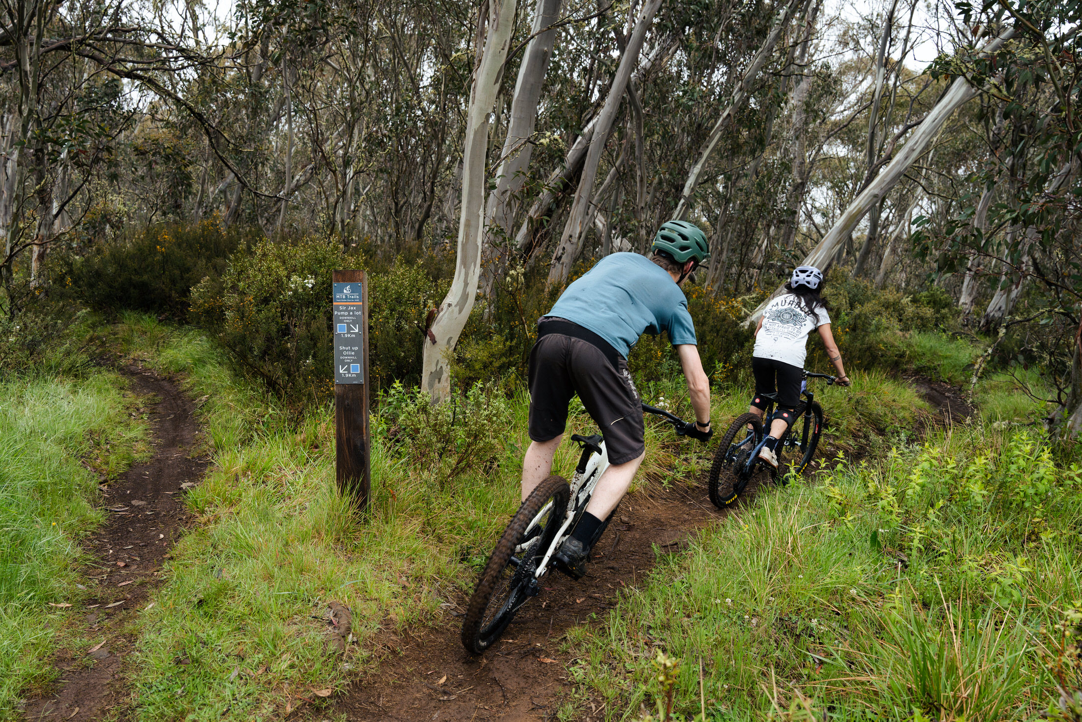 Your Complete Guide to Dinner Plain, VIC | Flow MTB
