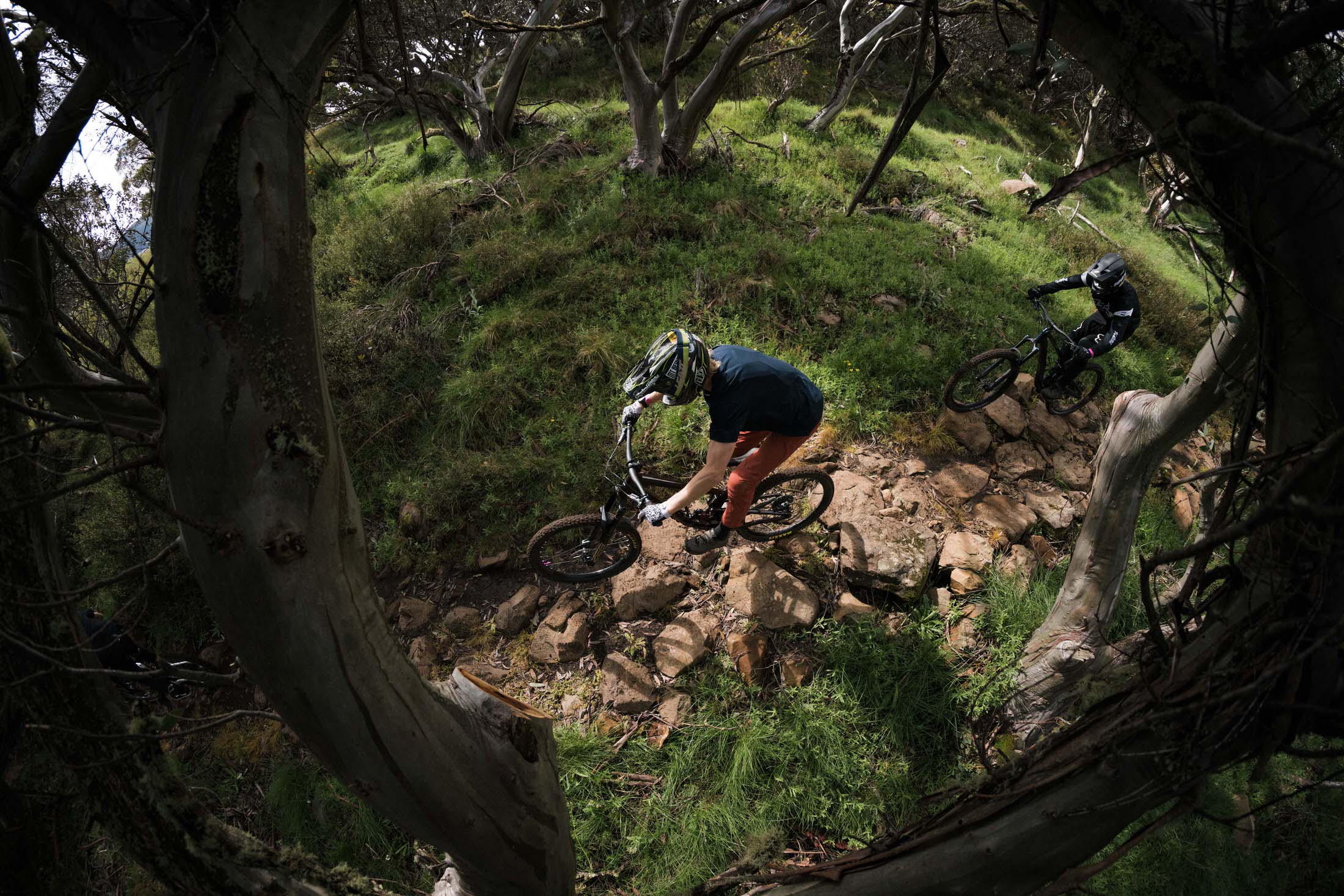 Onwards And Downwards | Riding the updated gravity trails at Buller