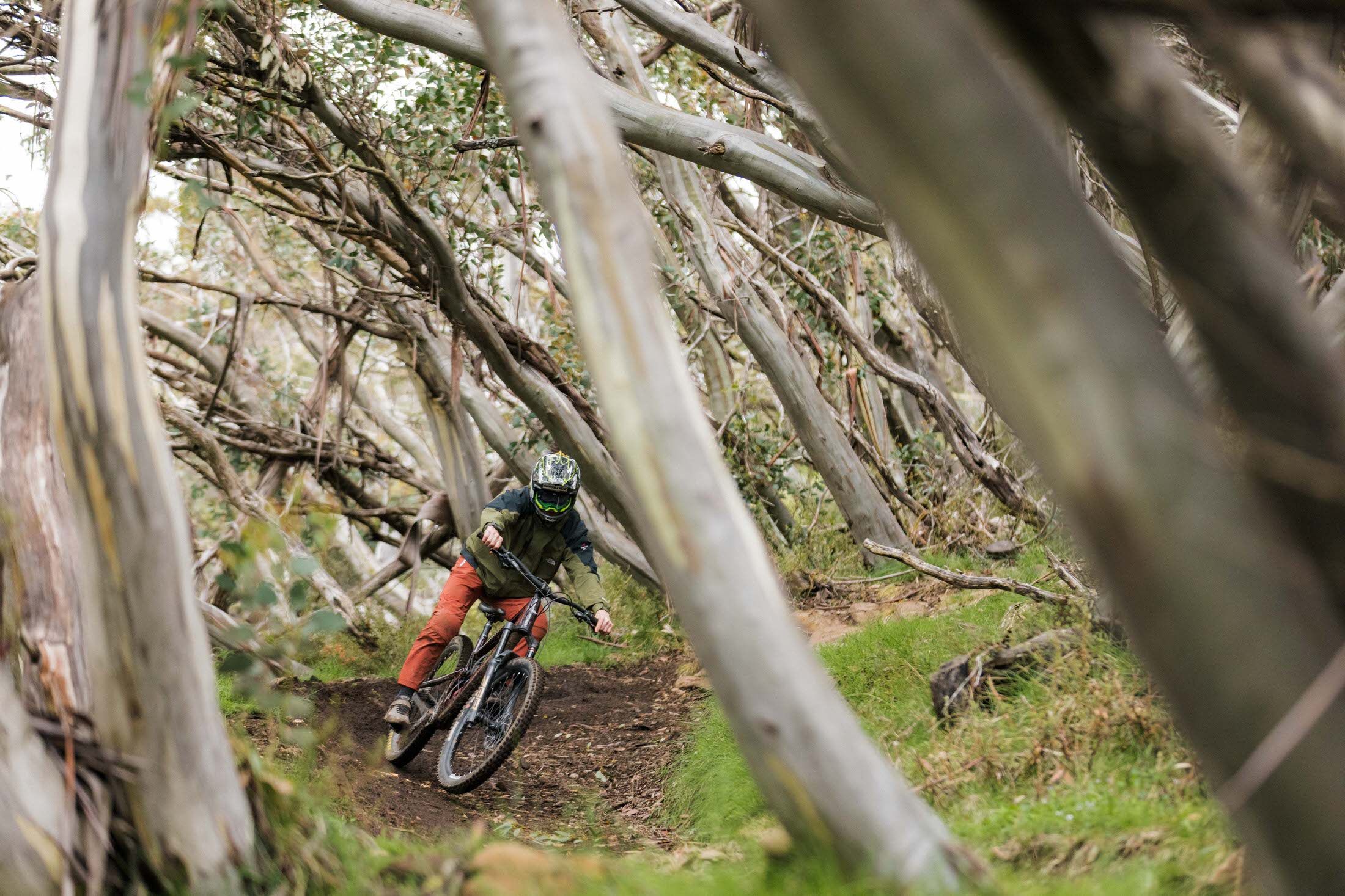Onwards And Downwards | Riding the updated gravity trails at Buller