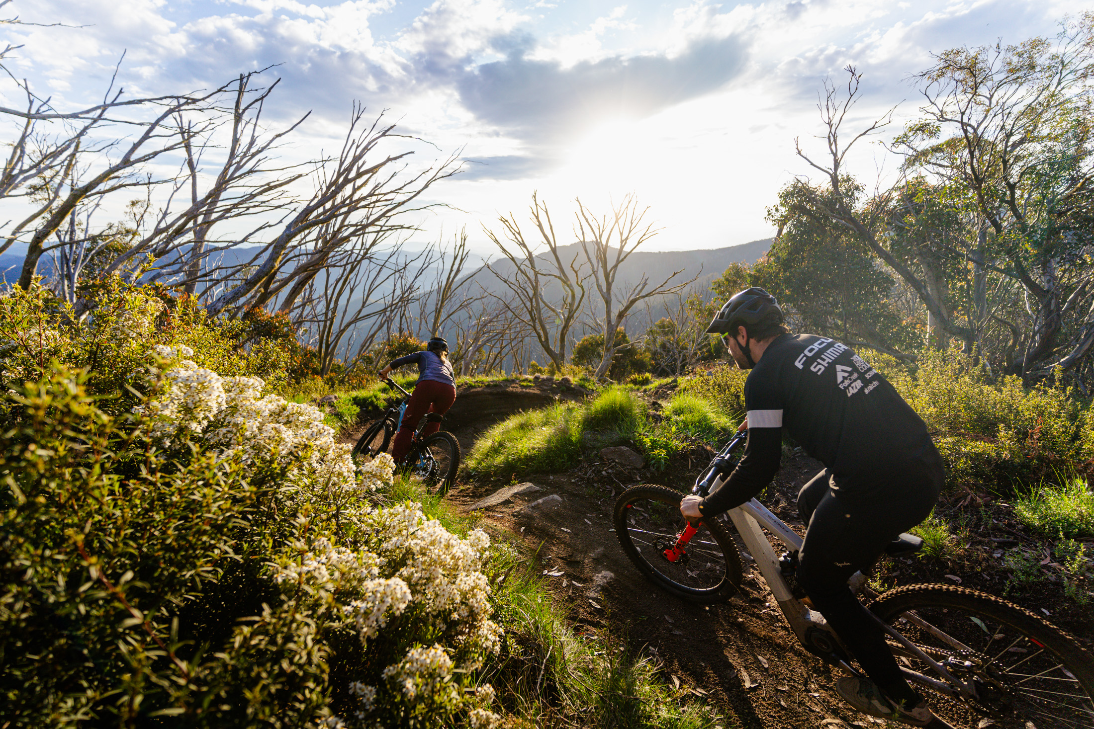 Best Mountain Bike Trails in Victoria | Flow Mountain Bike