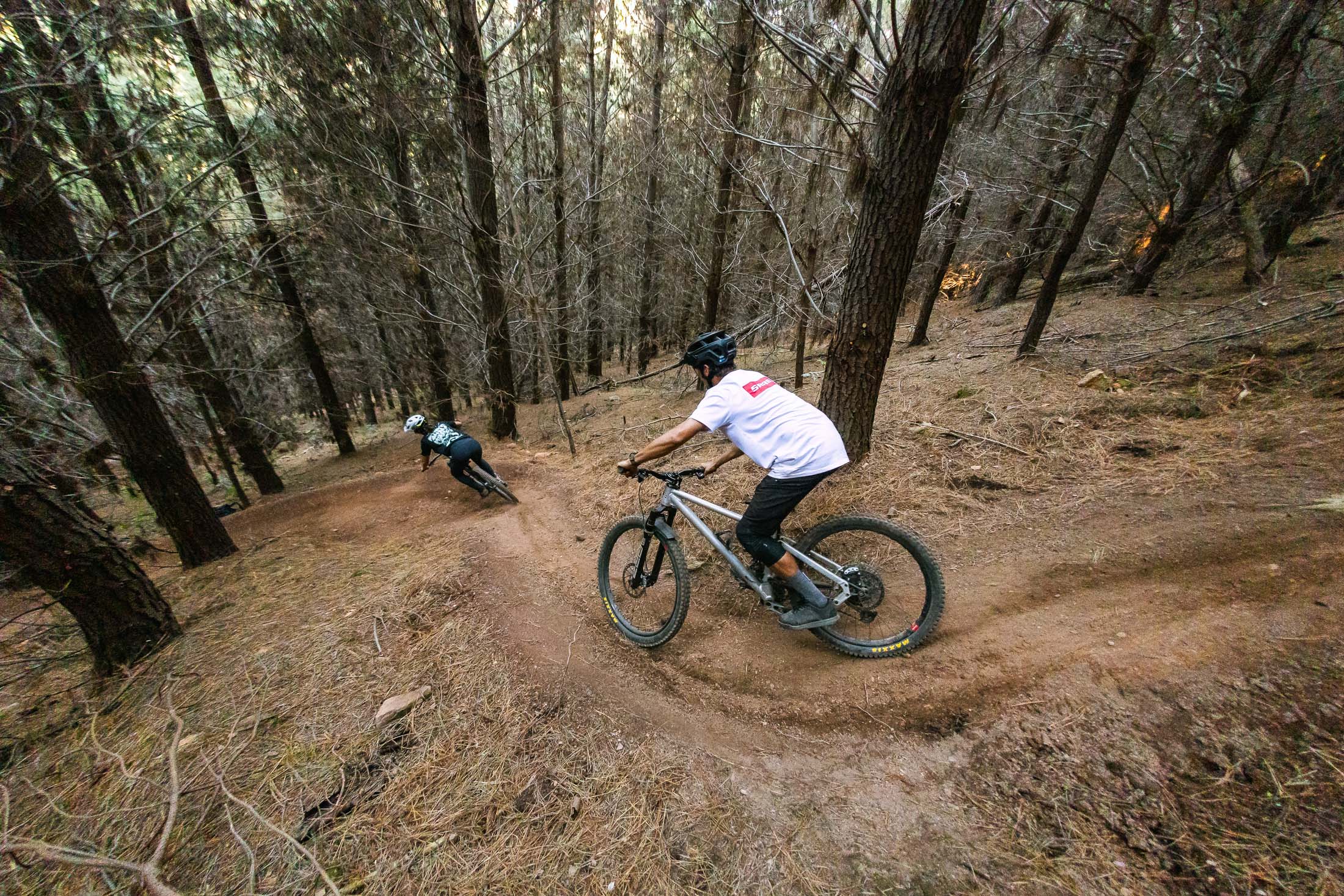 Best Mountain Bike Trails in Victoria | Flow Mountain Bike