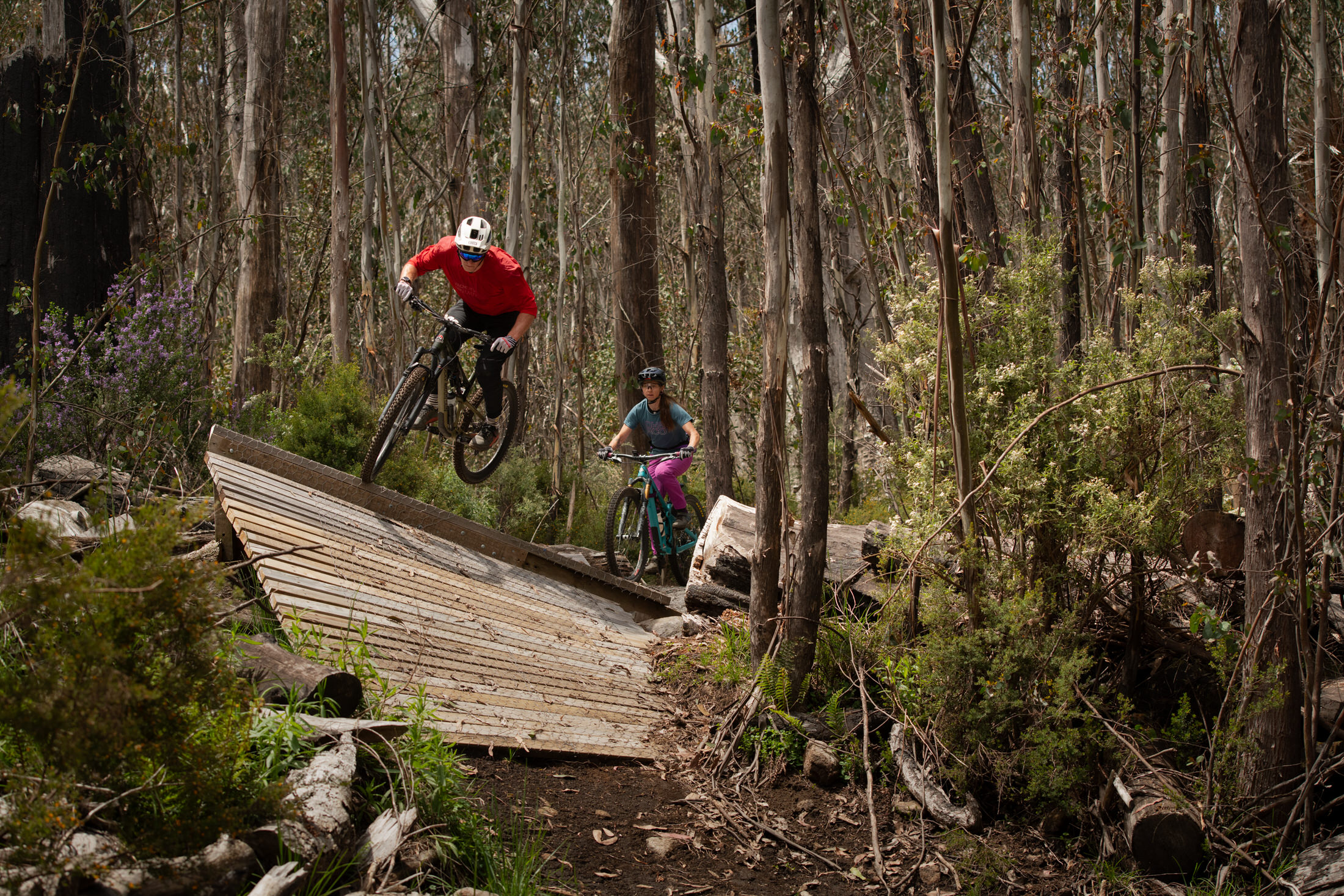 Best Mountain Bike Trails in Victoria | Flow Mountain Bike